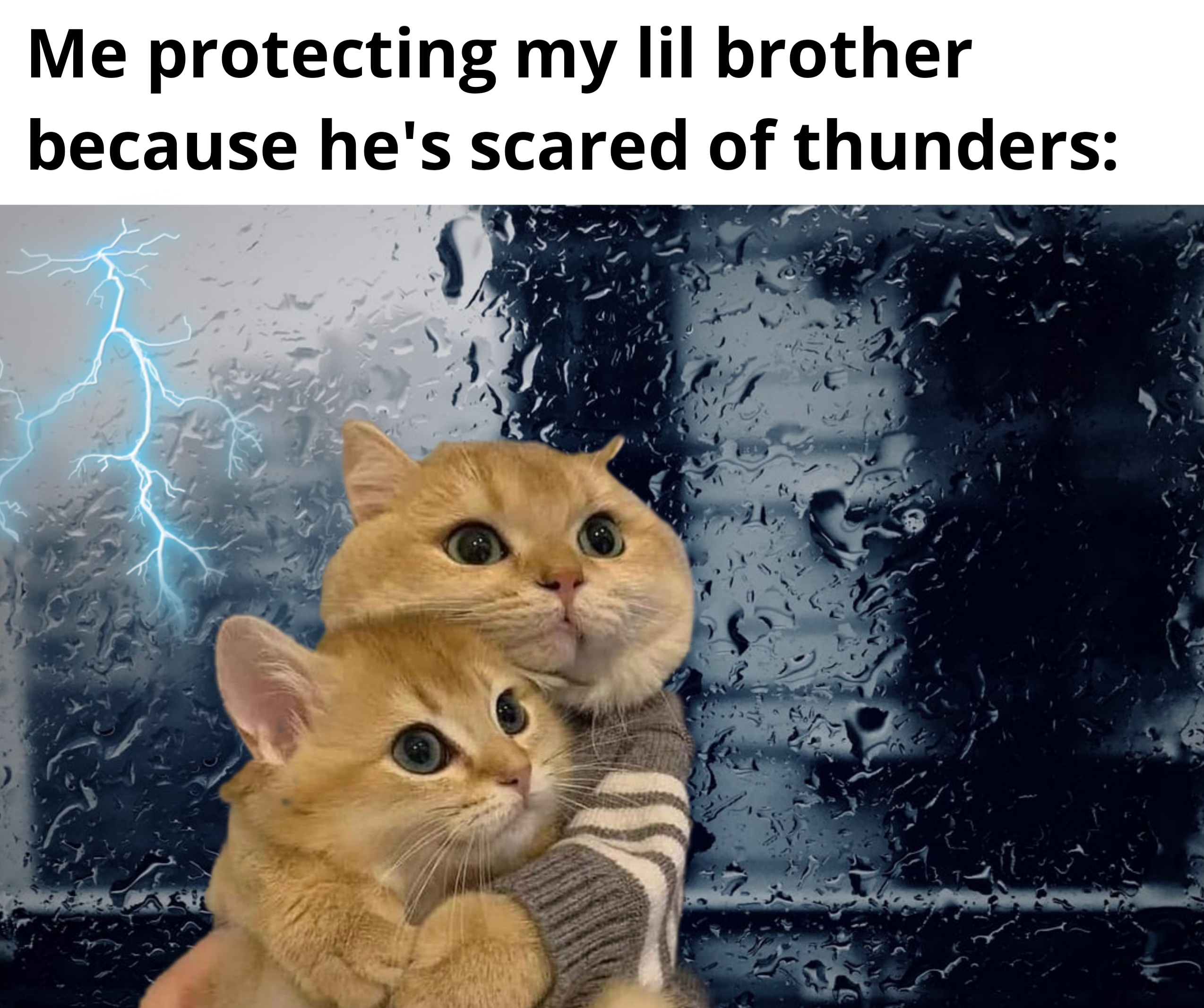 gotcha lil brother | Scrolller