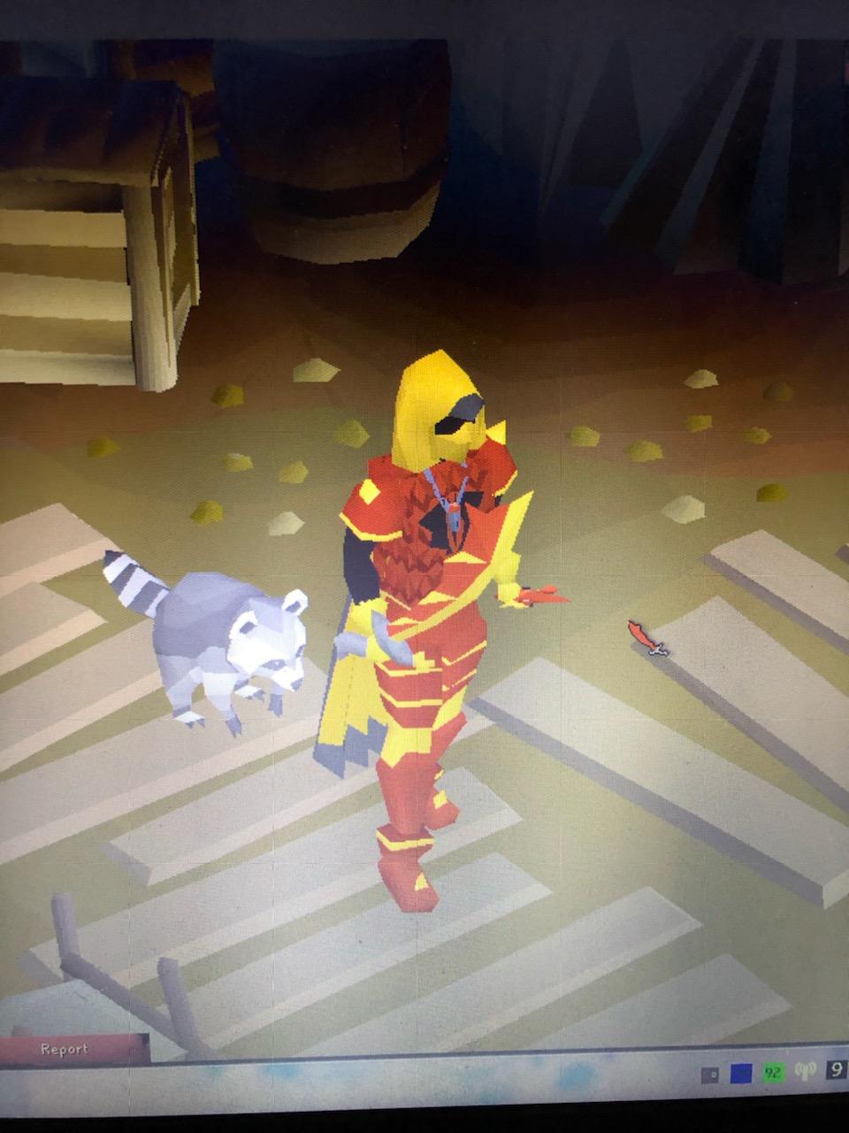 Graceful defender and his trusty sidekick rocky | Scrolller