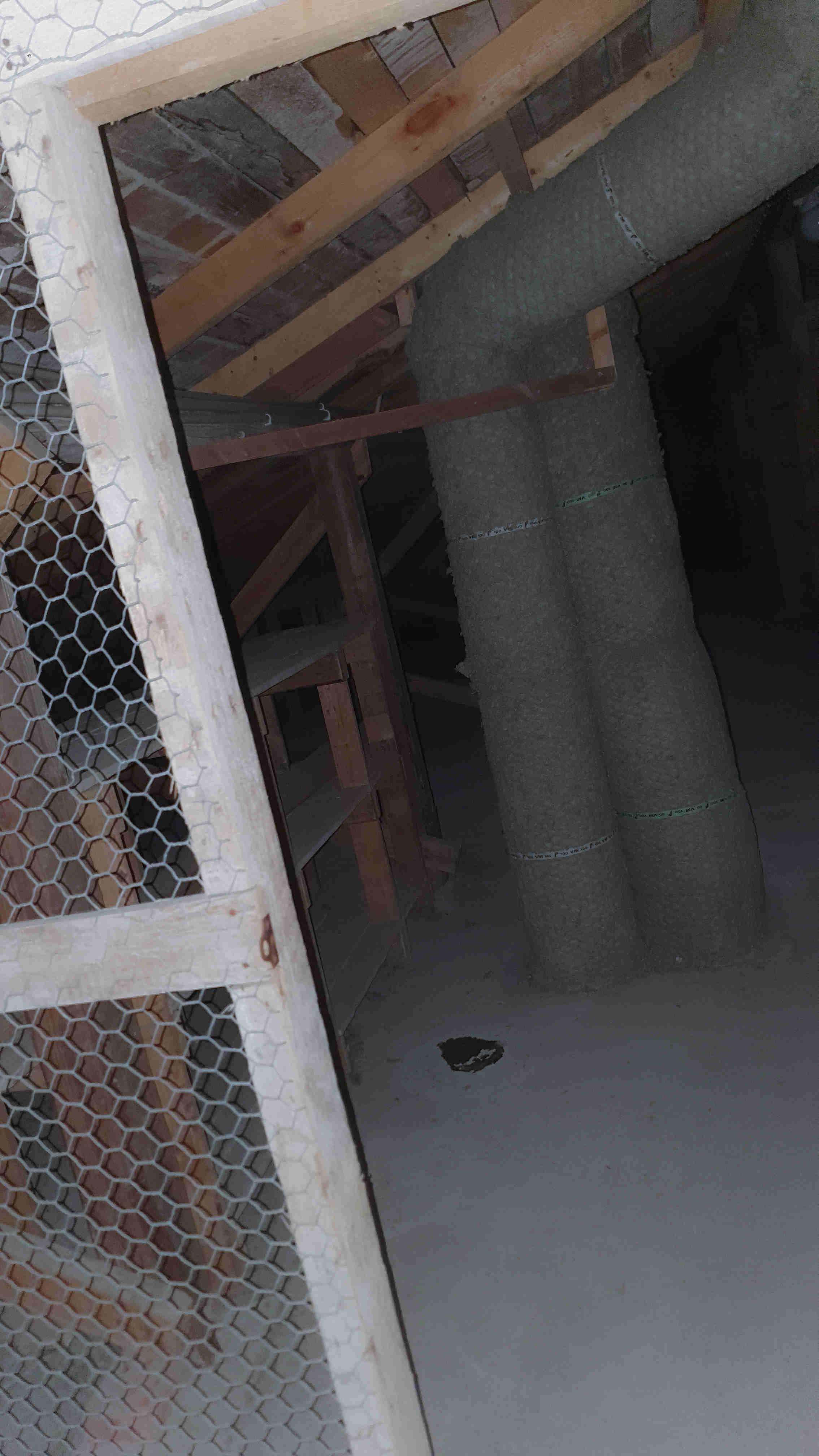 grandma's attic | Scrolller