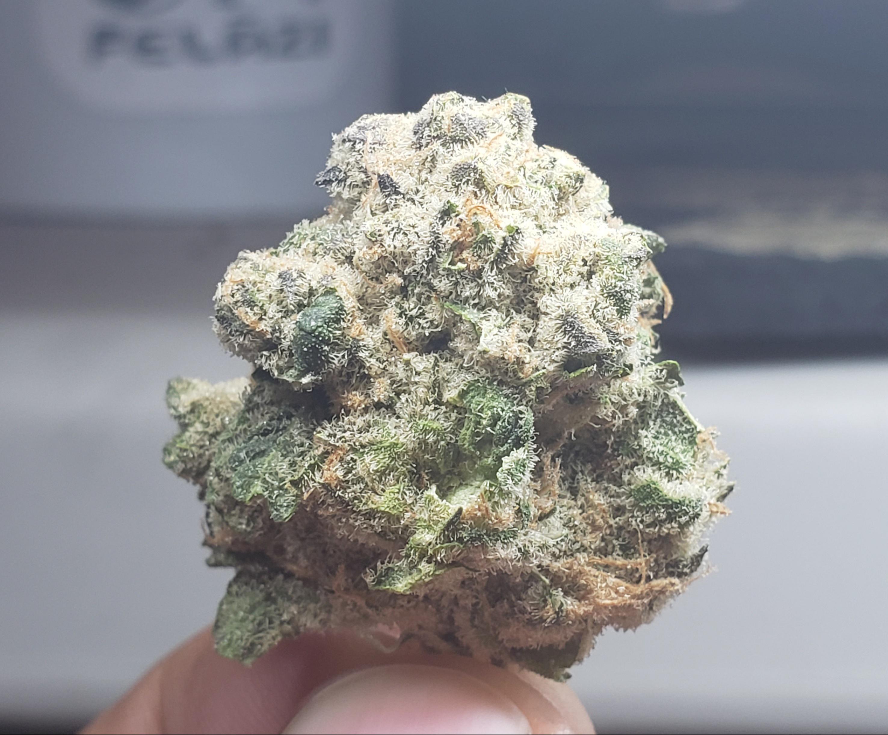 Grape Stomper 18.95% | Scrolller