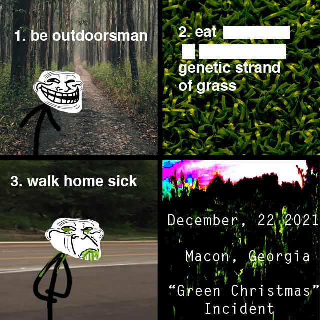 grass moment | Scrolller