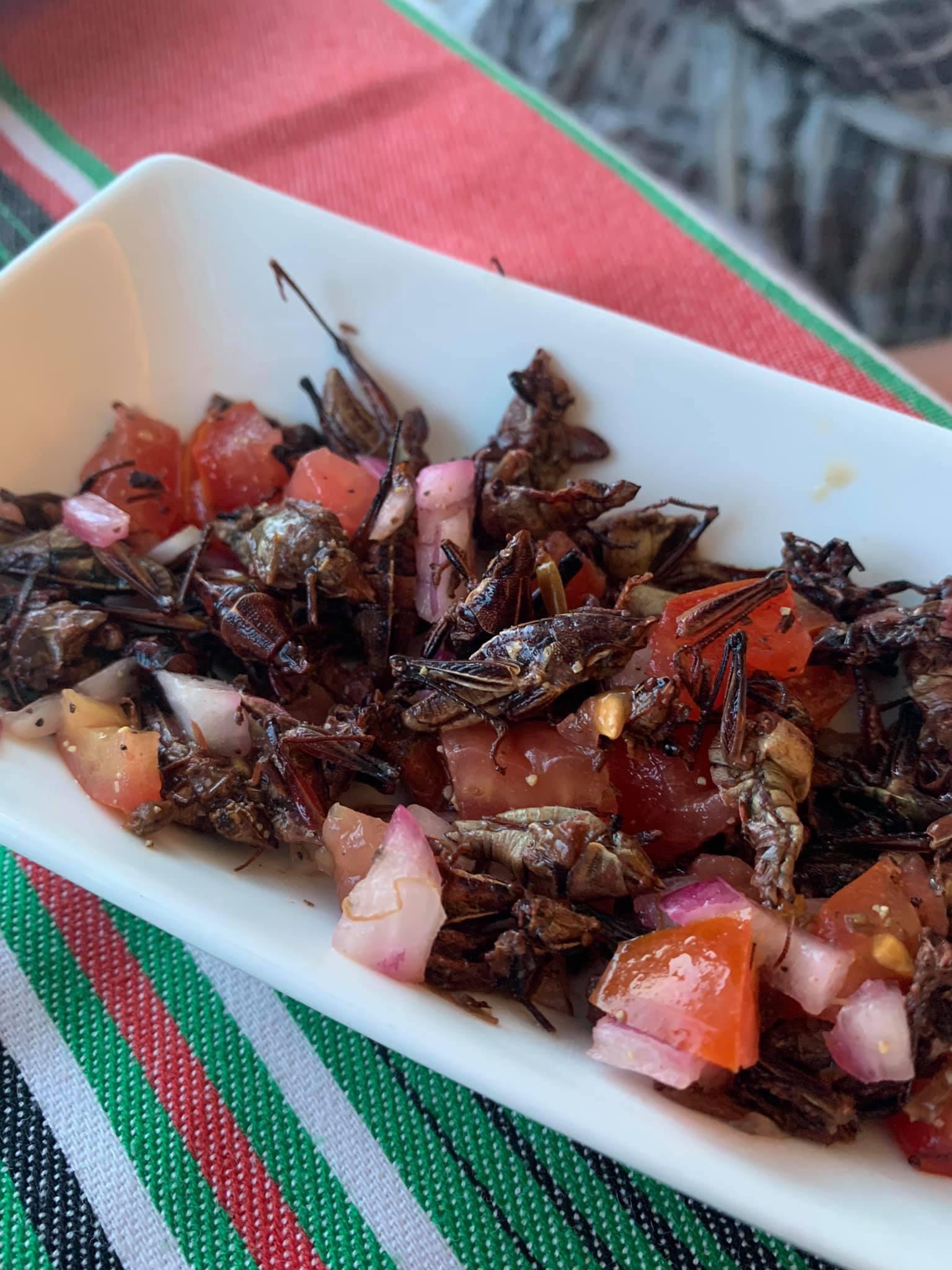 Grasshopper Pico de gallo, anyone? | Scrolller