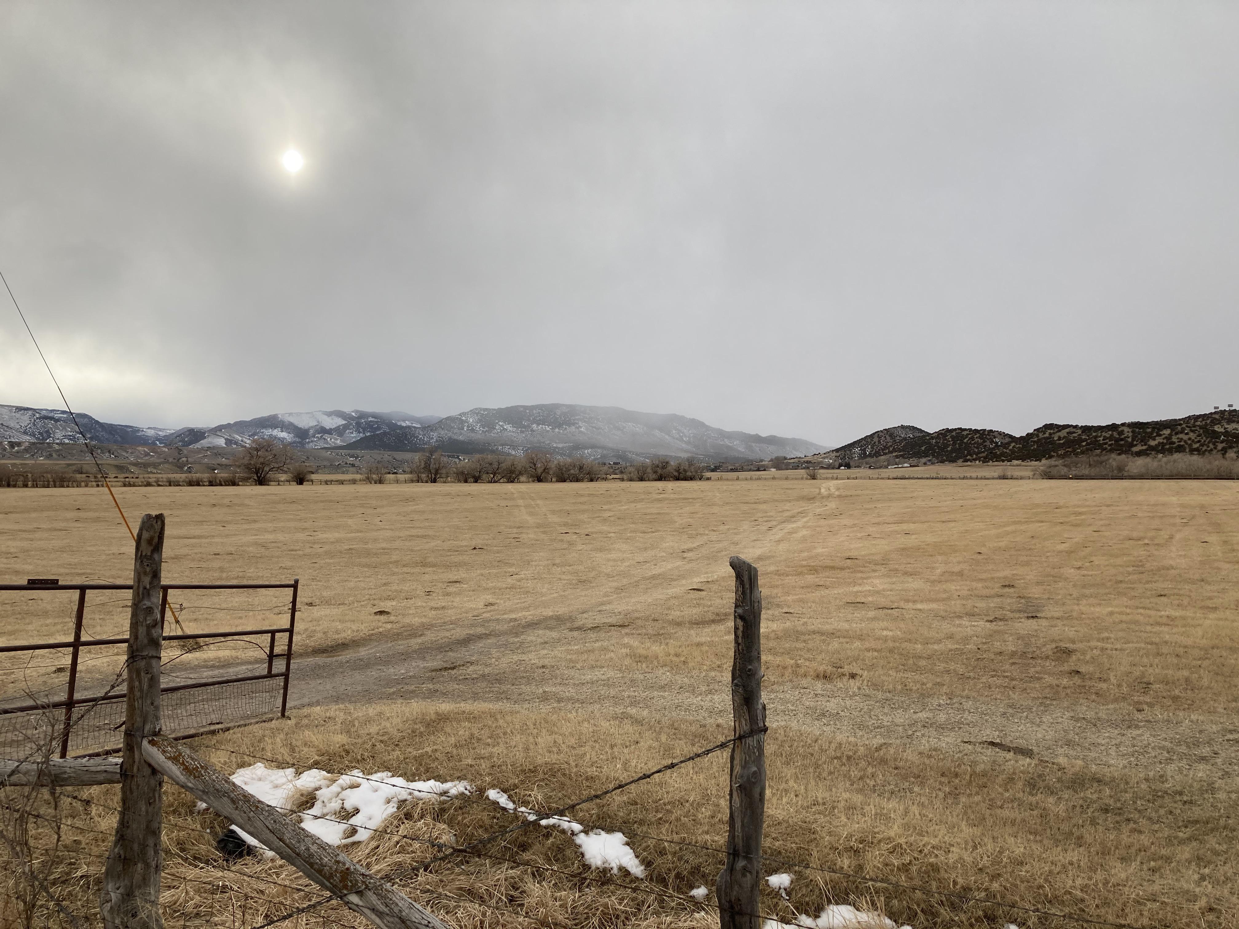Grassy Field in Utah | Scrolller