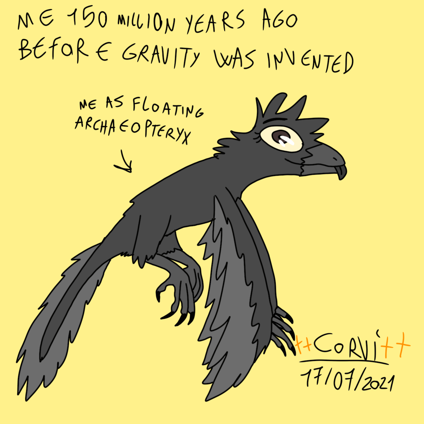 Gravity_irl | Scrolller