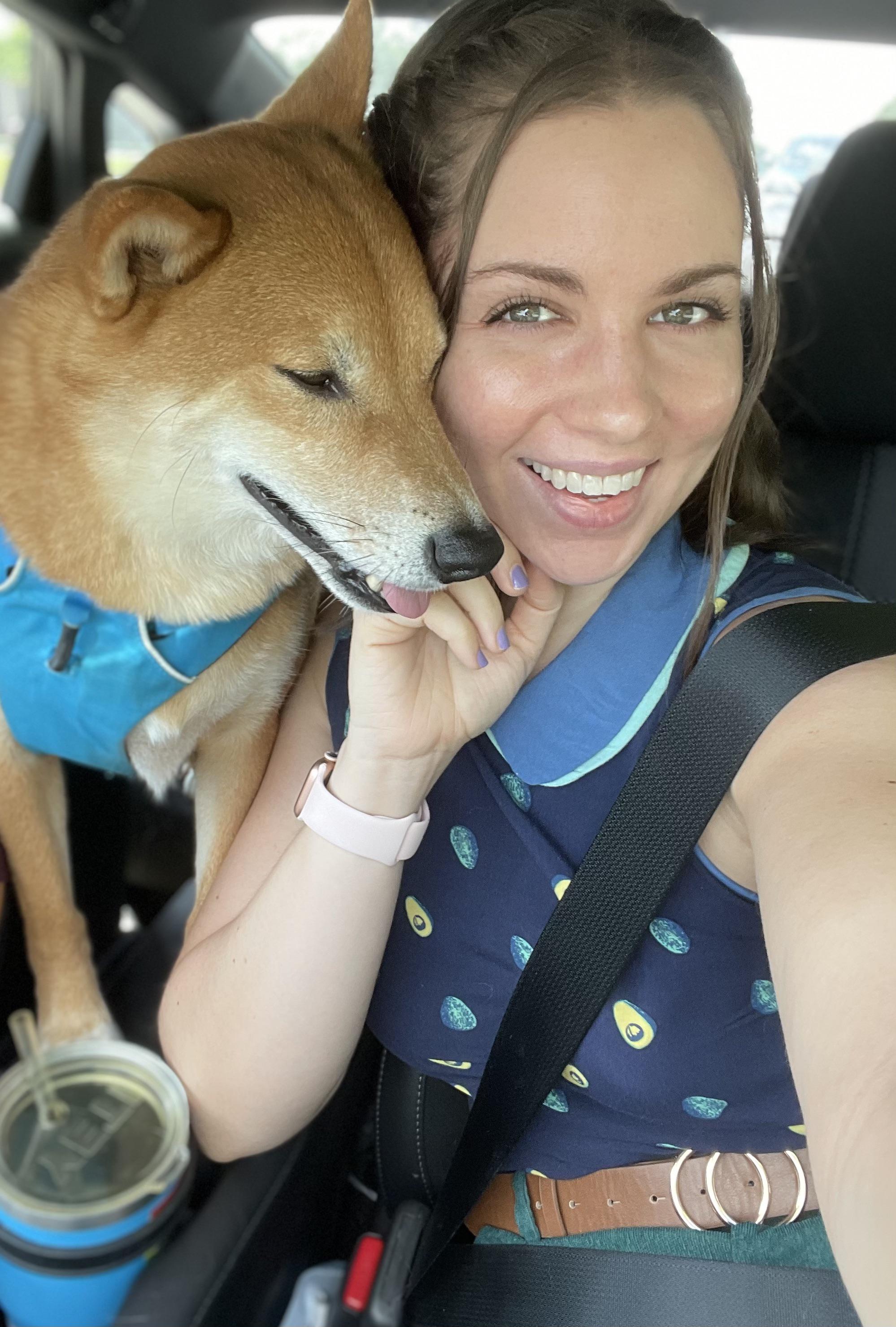 Gray eyes featuring red shiba | Scrolller