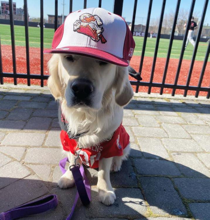 Great day for a baseball game. | Scrolller