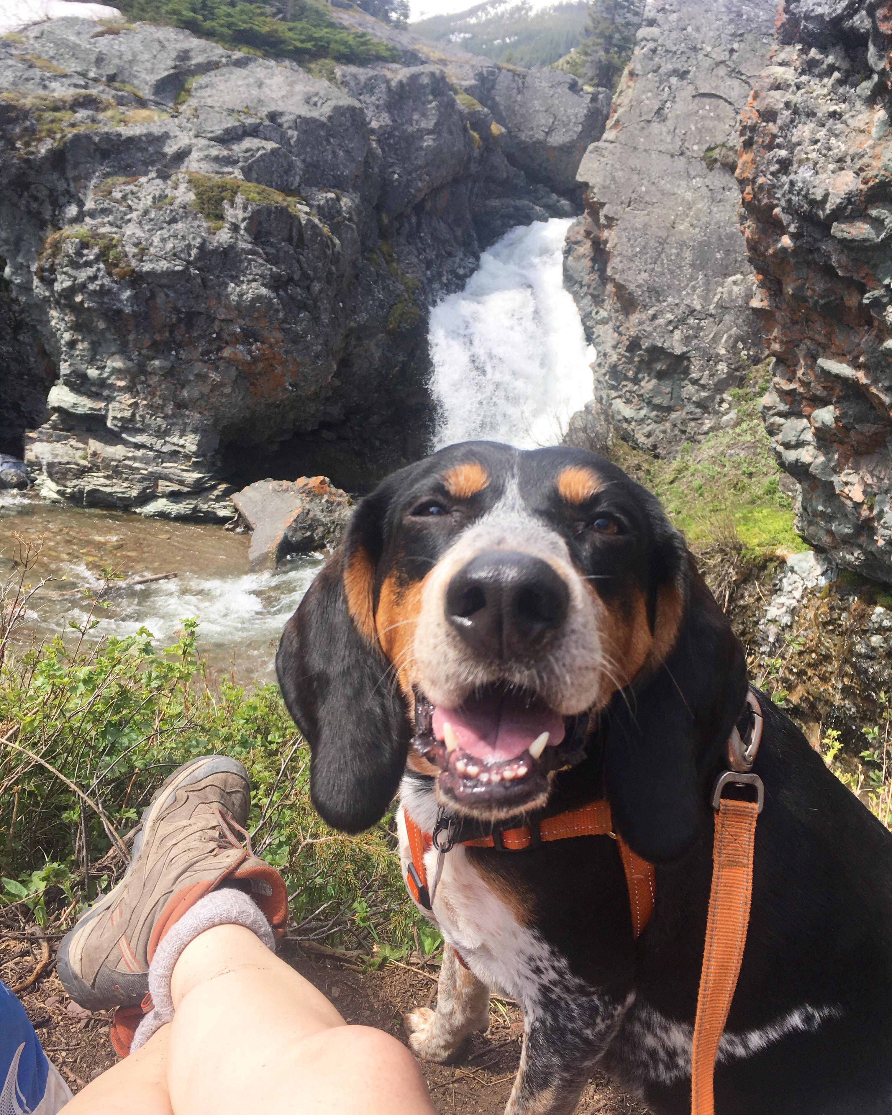 Great day out hiking | Scrolller