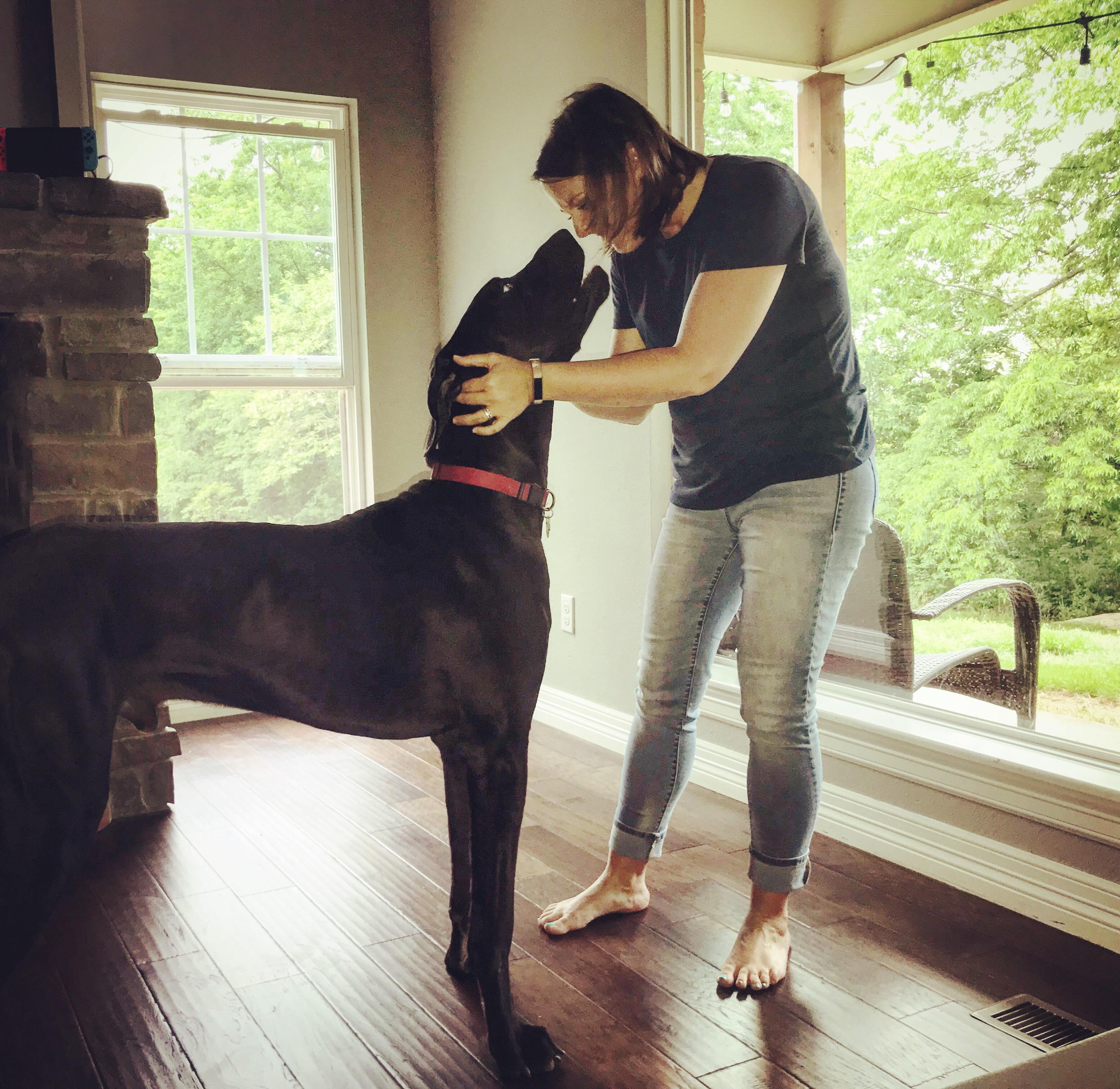 Great Dug the Dane | Scrolller