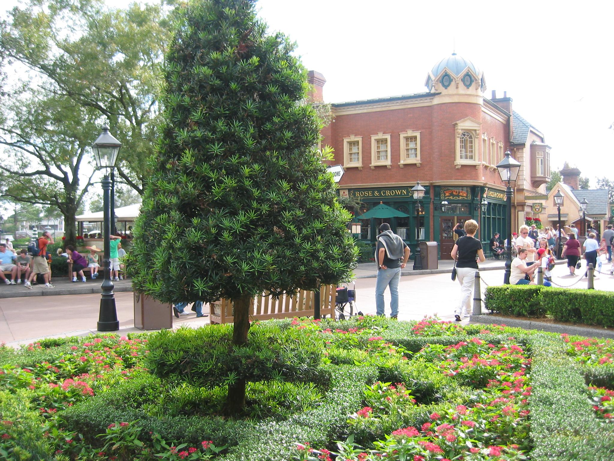 Great garden at epcot | Scrolller