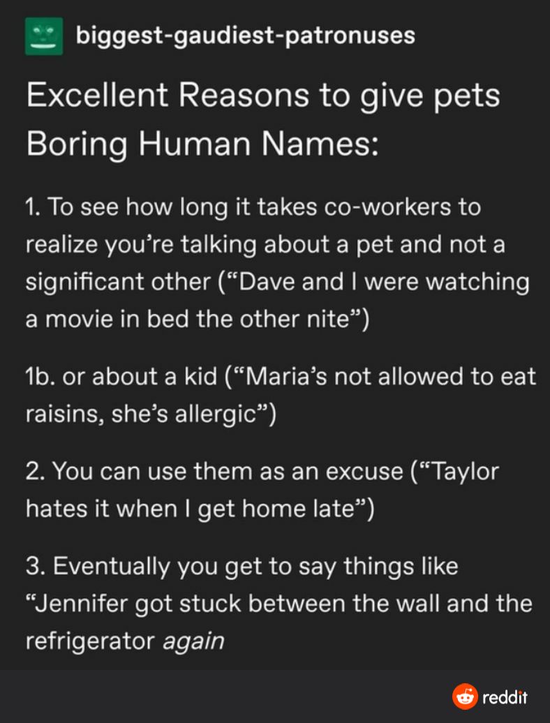 Great idea for leaving work early.. | Scrolller