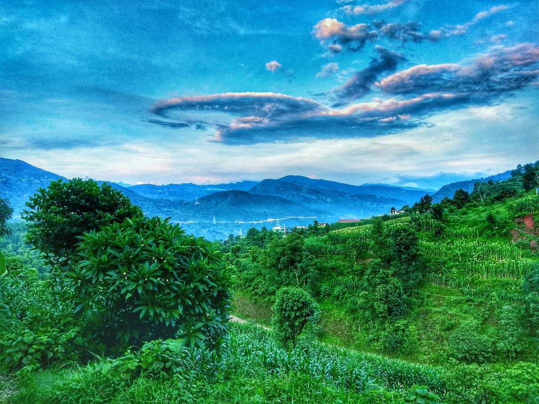 greenery | Scrolller