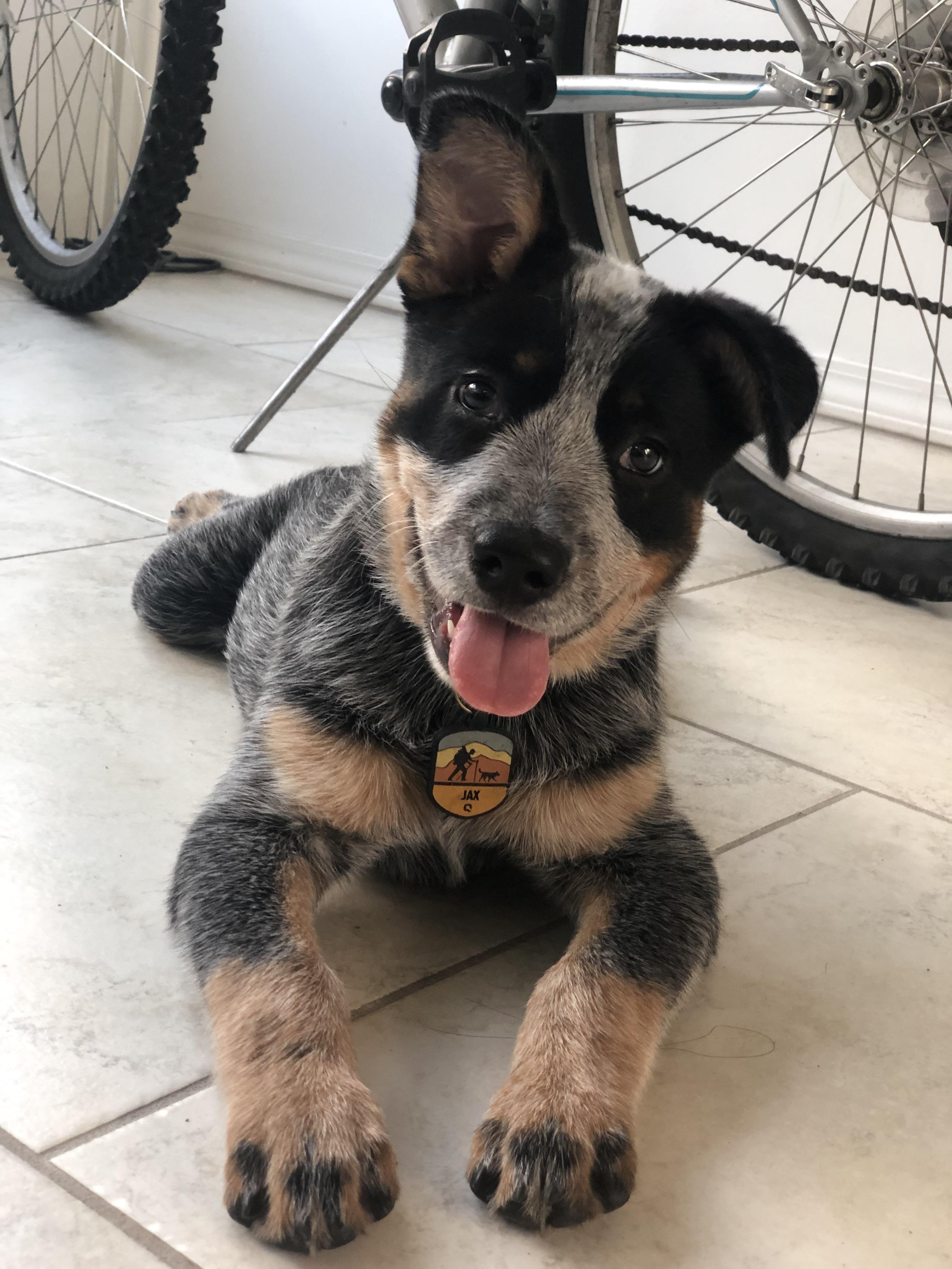 Growing up too fast! | Scrolller