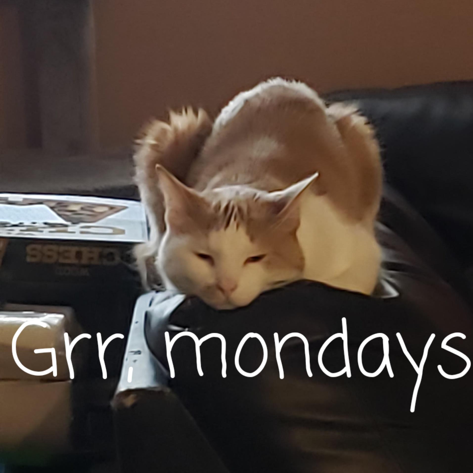 Grr, mondays | Scrolller