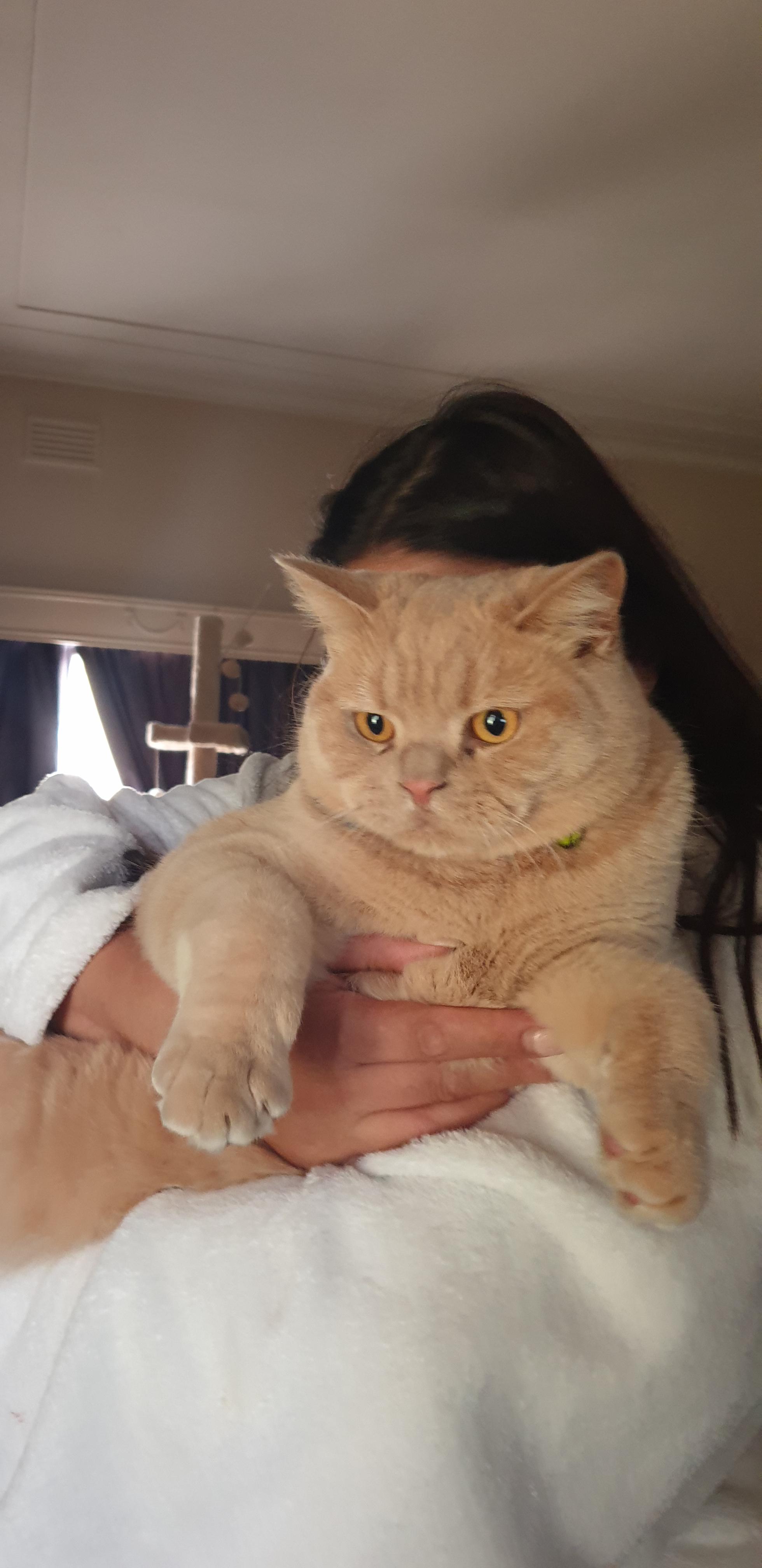 Grumpy Beau | Scrolller