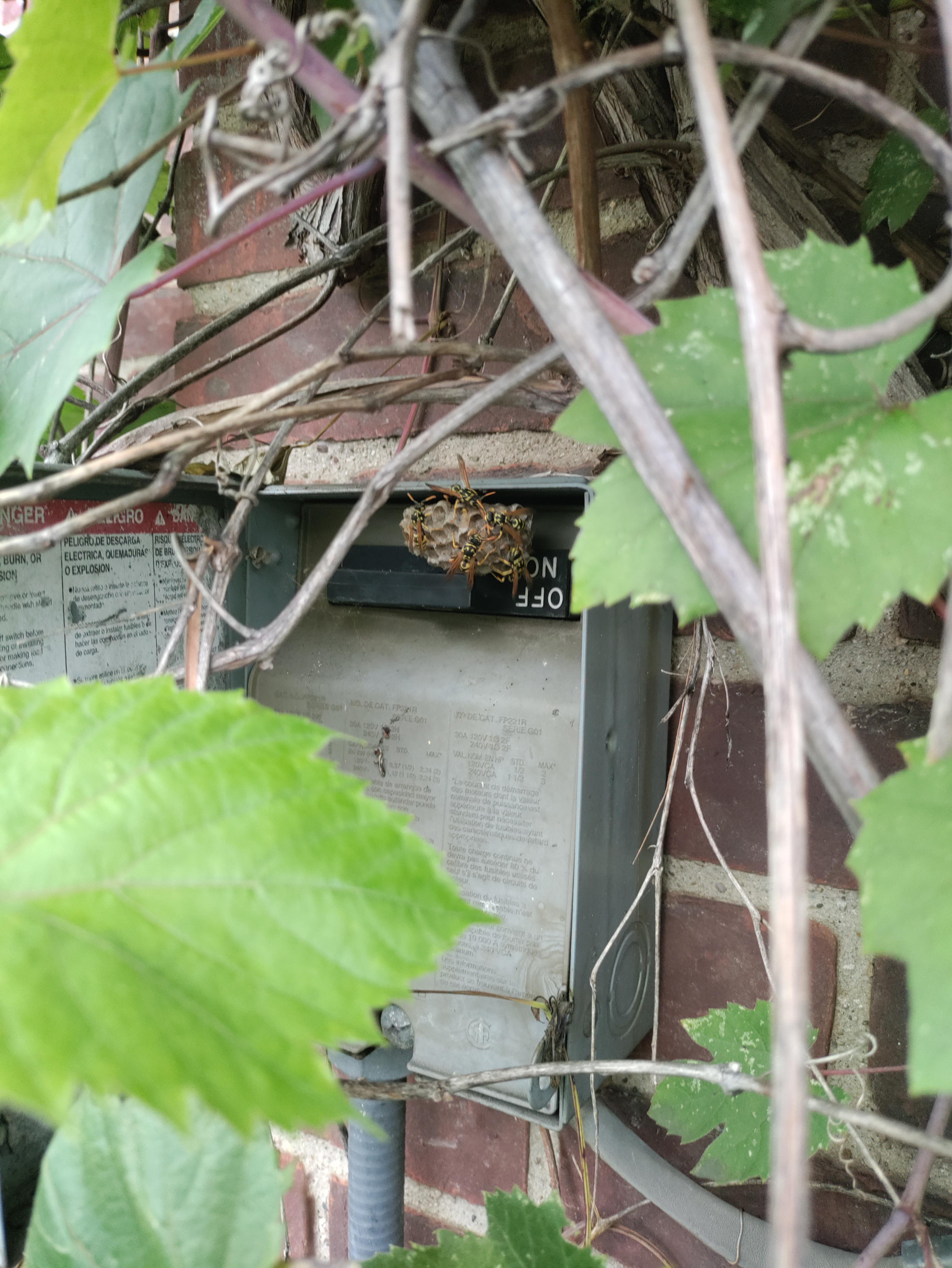 Guarding the disconnect... | Scrolller