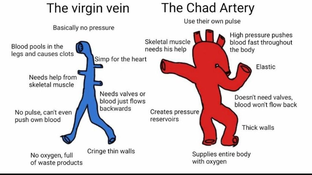 Virgin Vein here | Scrolller