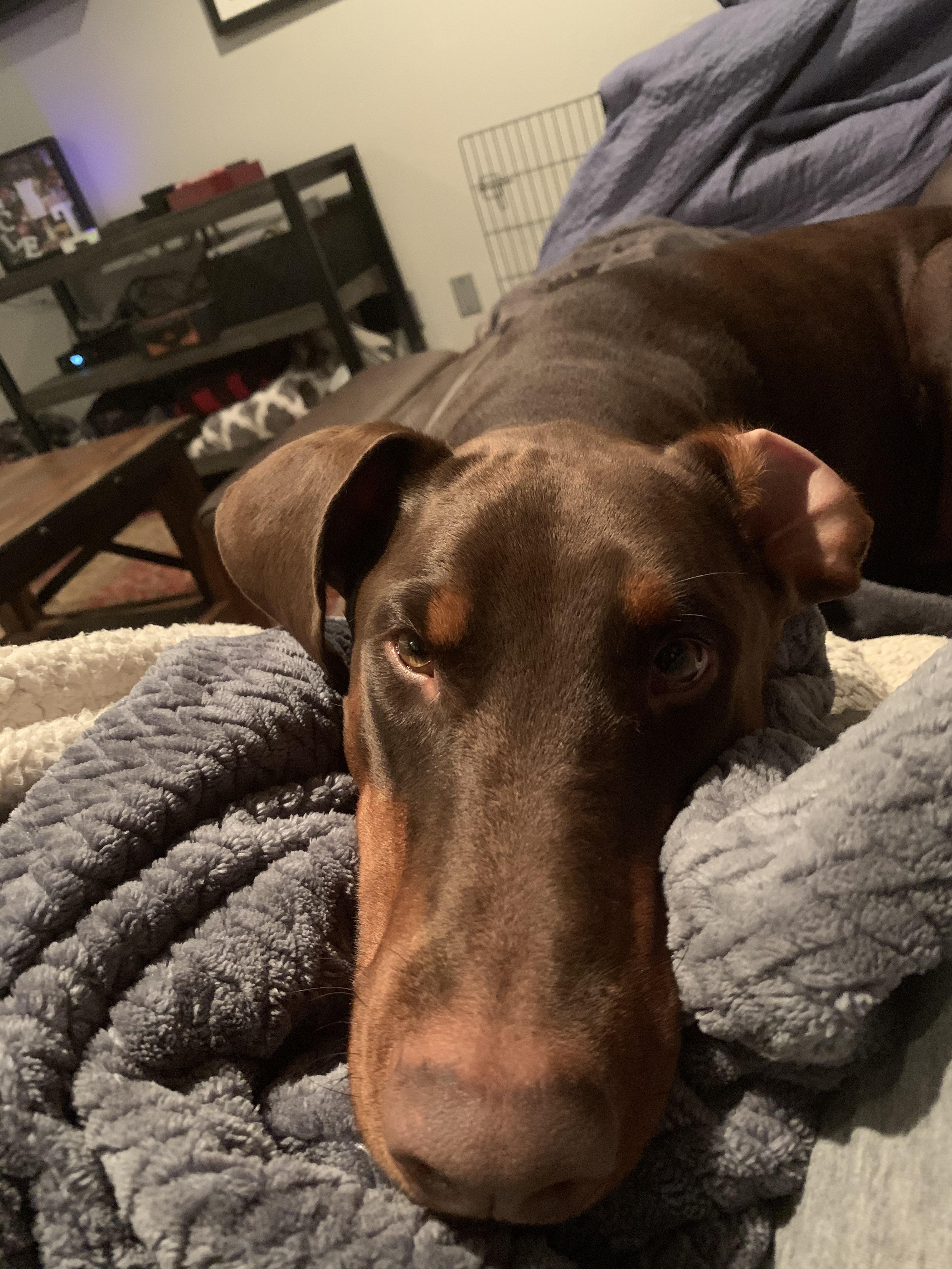 Guilt trip. | Scrolller