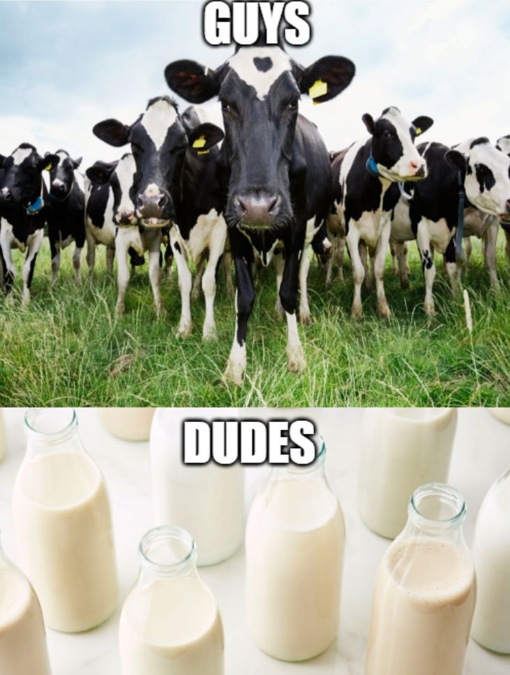 Guys and Dudes | Scrolller