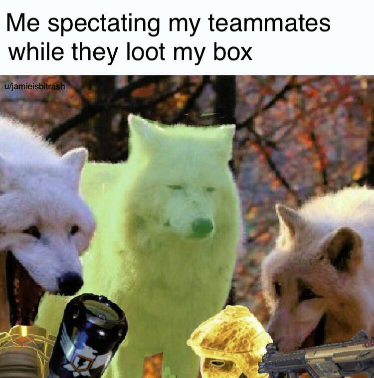 Guys please the respawn beacon is right next to you | Scrolller