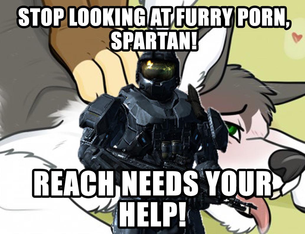 halo_irl | Scrolller