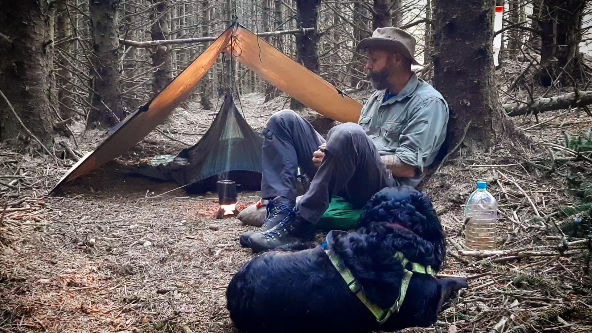 Hammock n bug net pitched on the ground | Scrolller