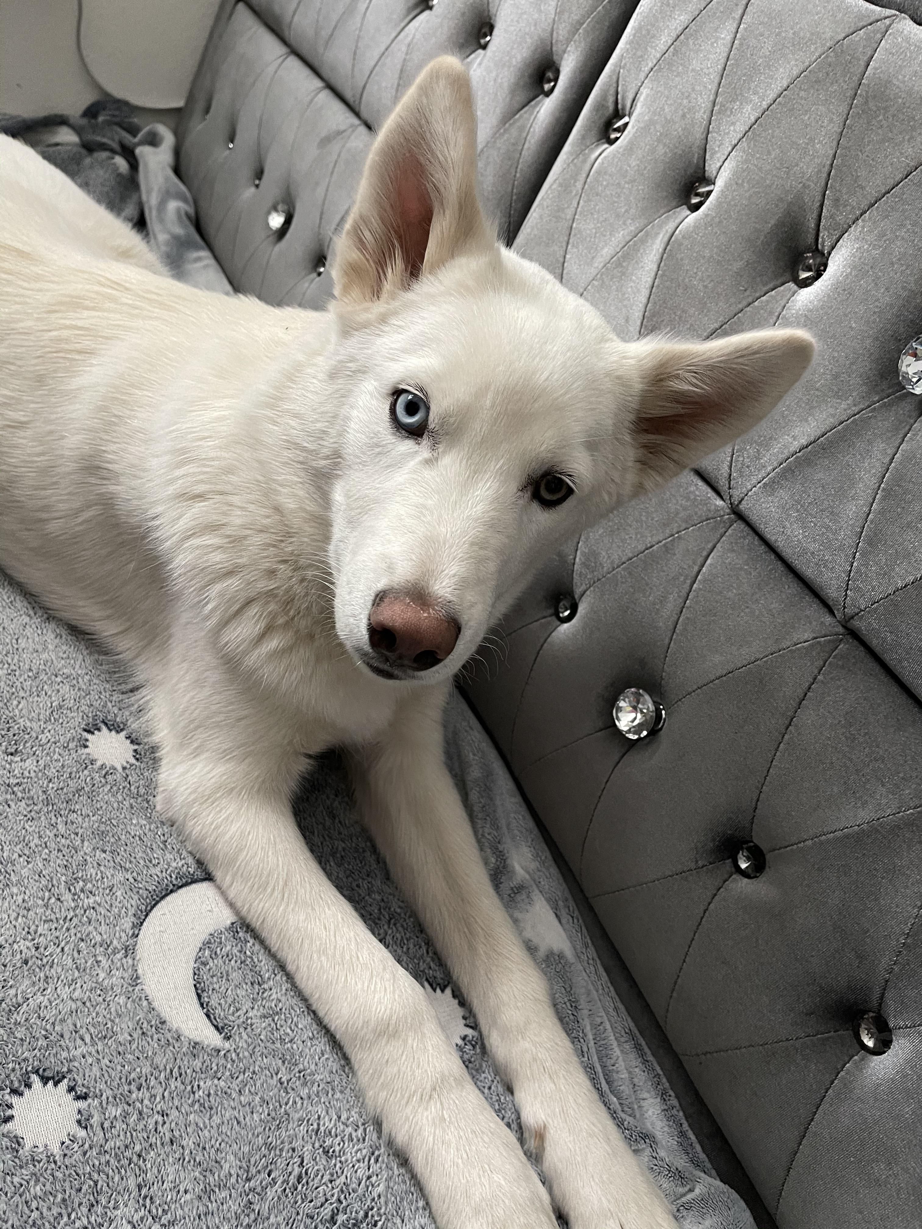 handsome boy | Scrolller