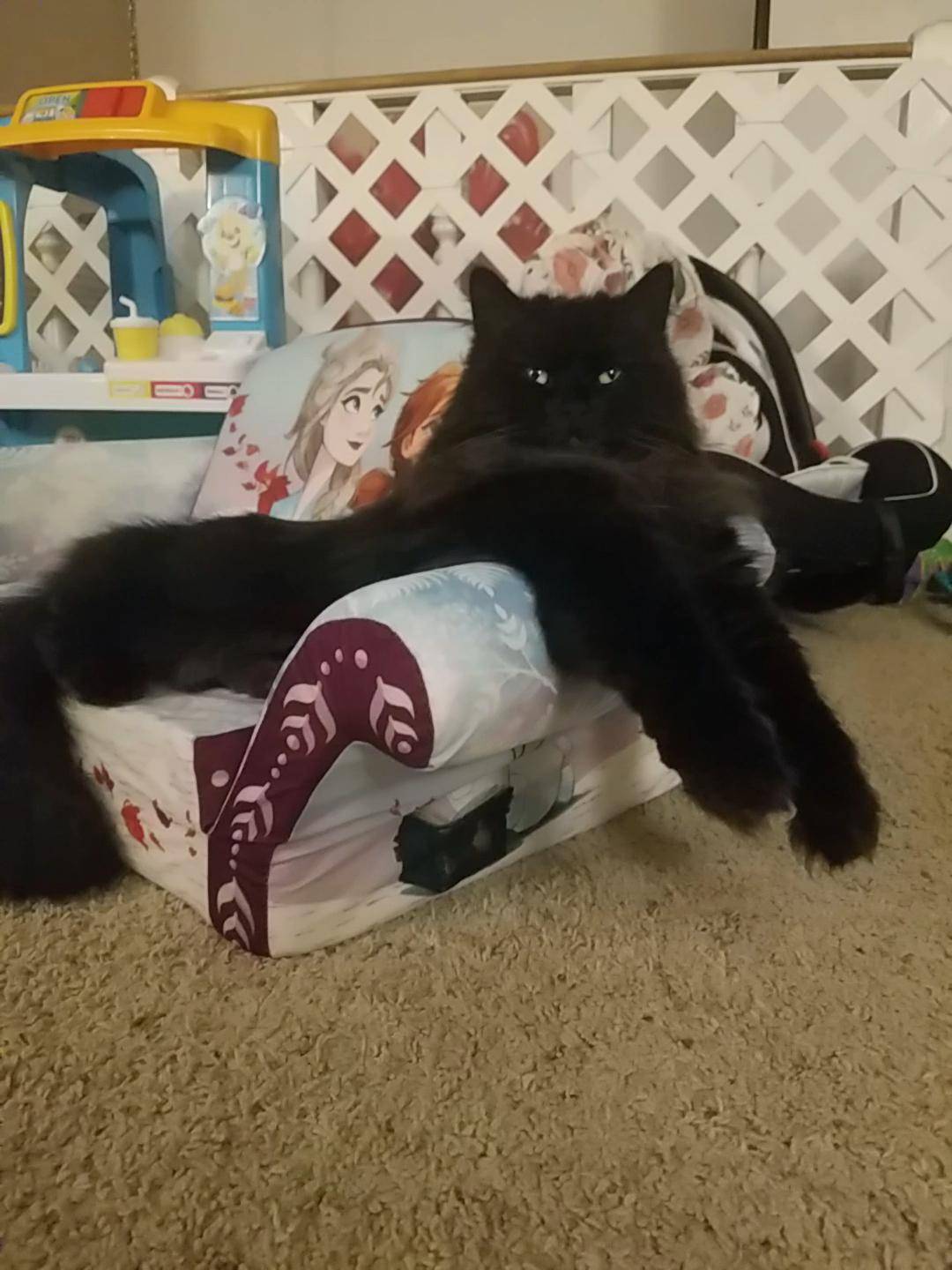 Handsome Toothless on his Frozen couch | Scrolller