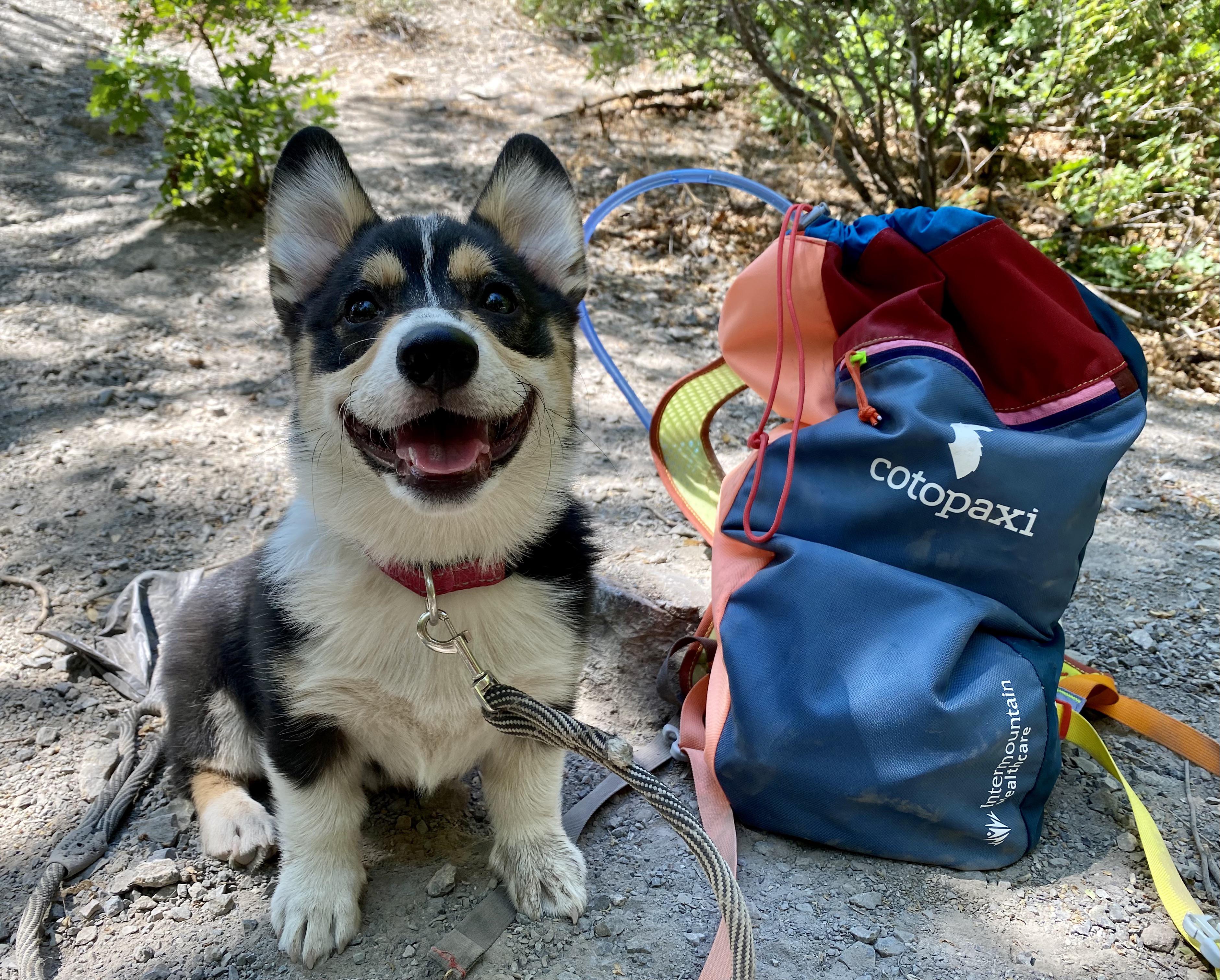 Happiest girl on her first ever hike | Scrolller