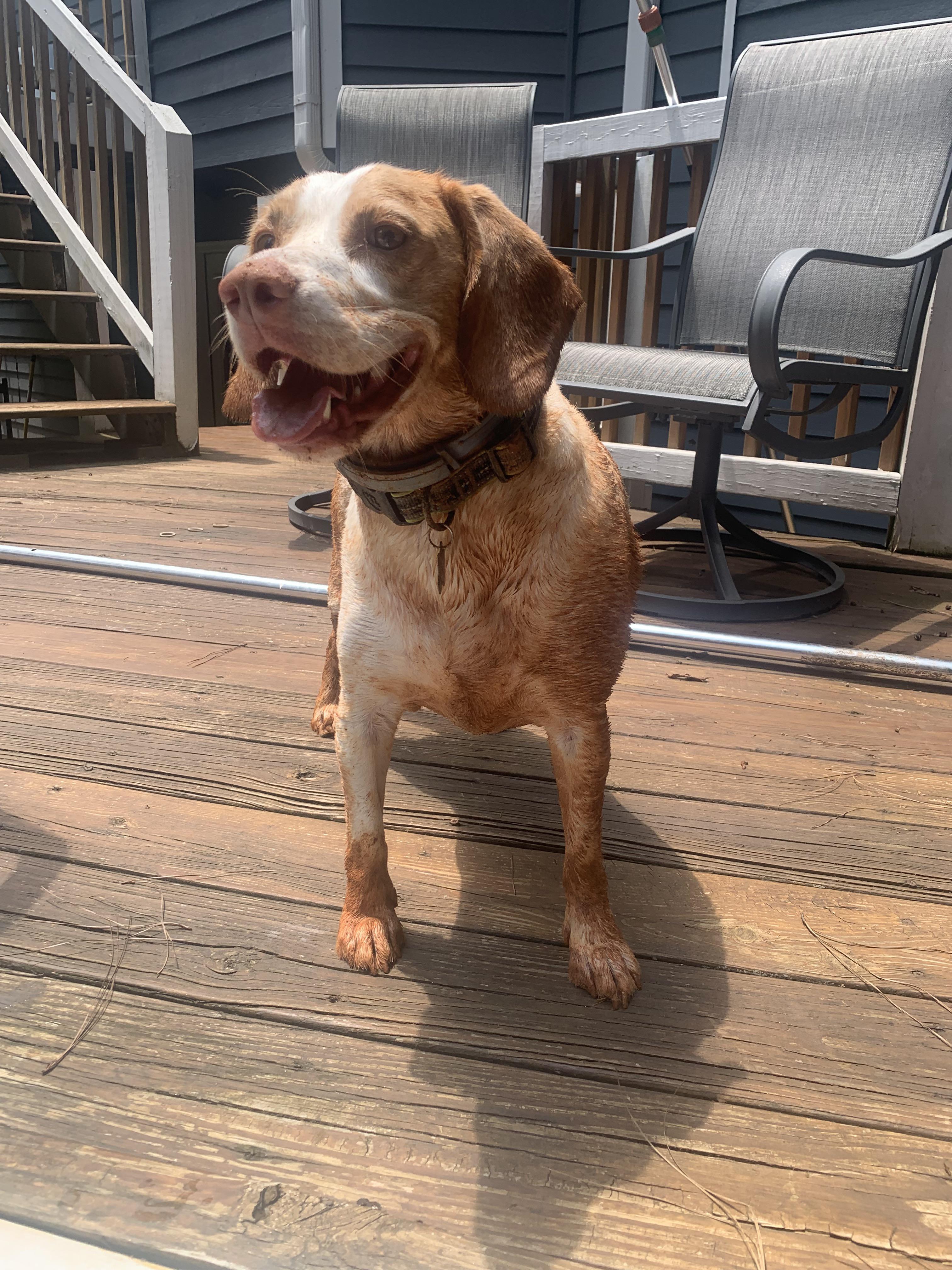 Happy as a clam | Scrolller