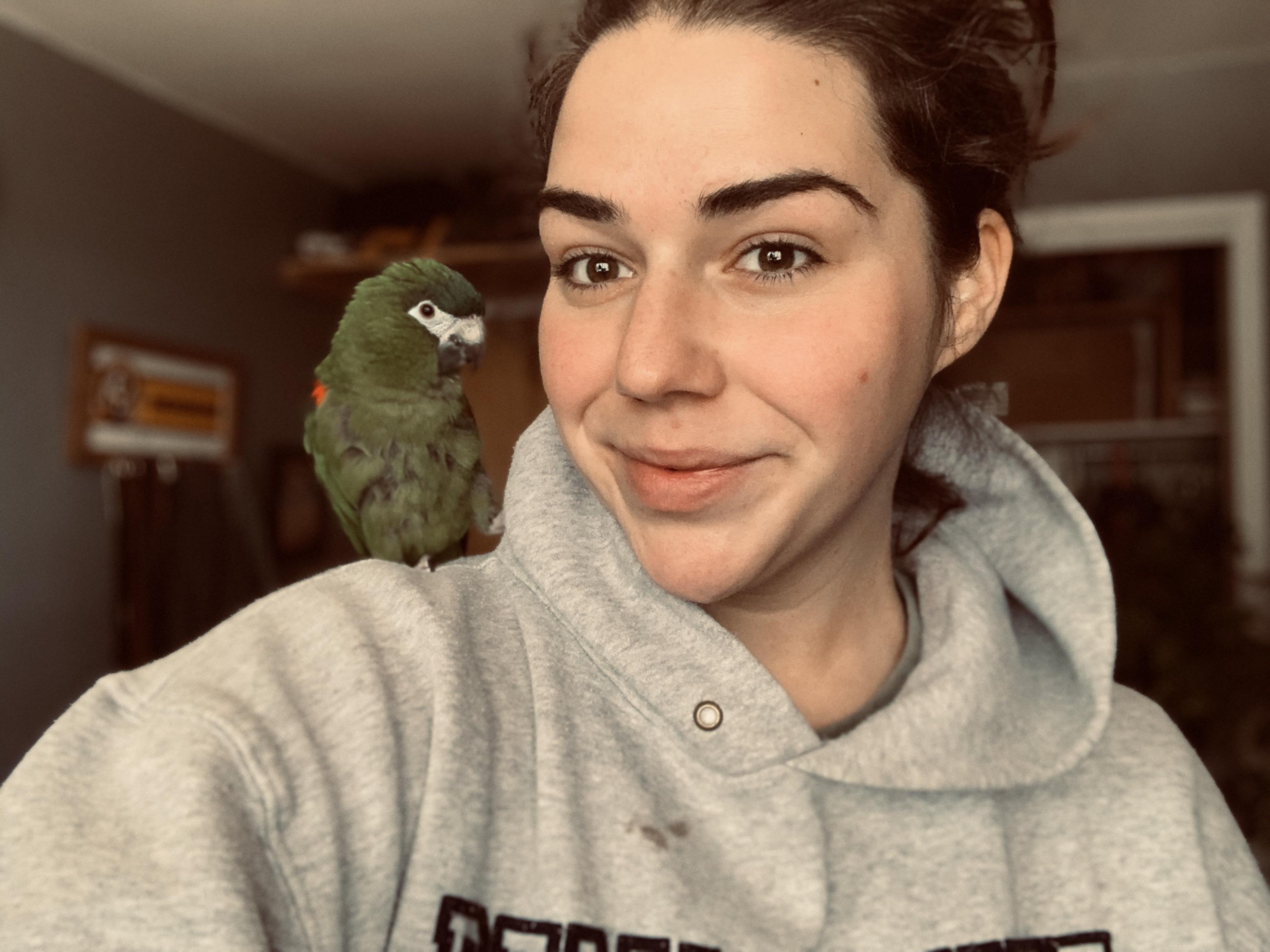 Happy Bird Scrolller