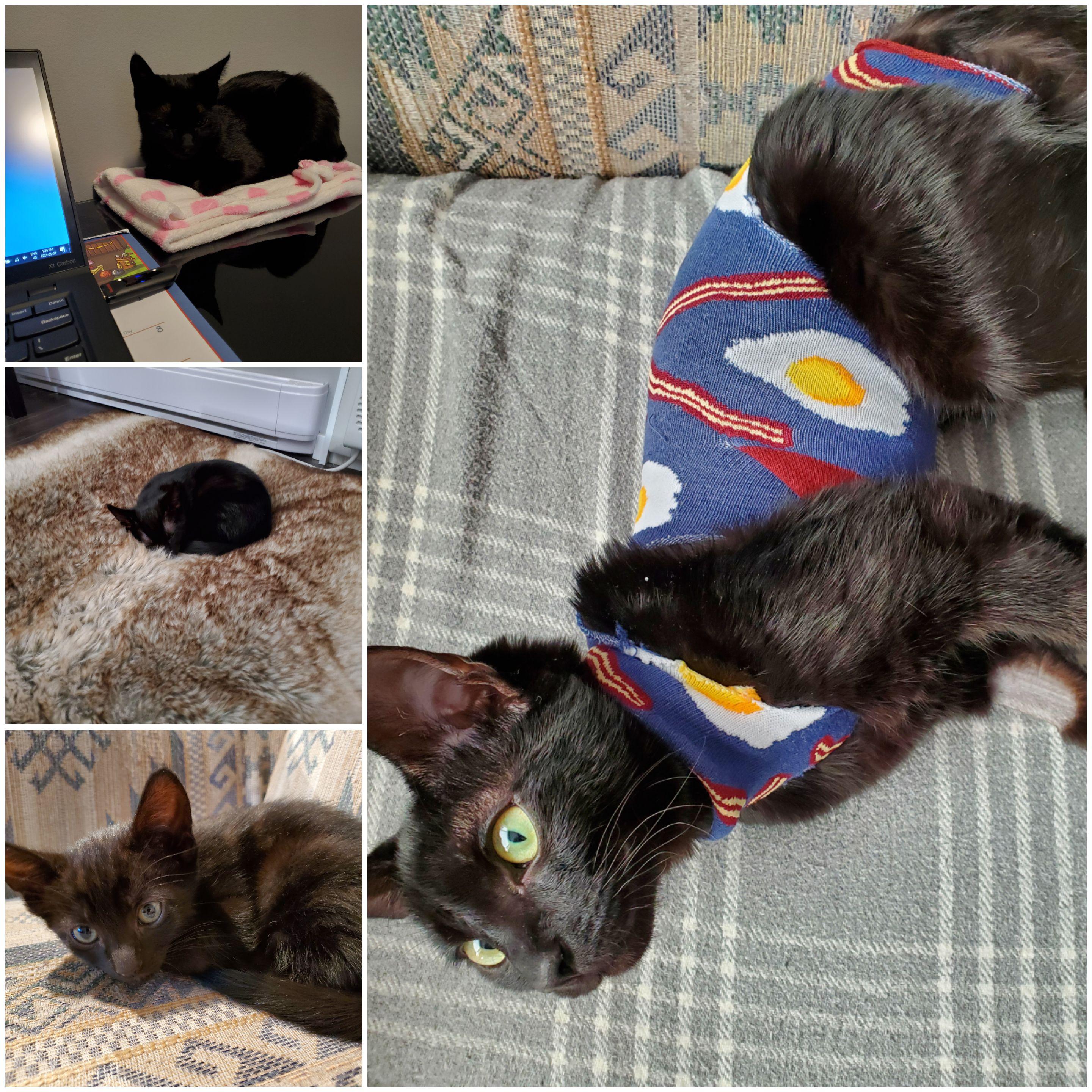 Happy Birthday to my Sweet and Spicy Pepper. | Scrolller