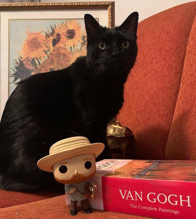 Happy Birthday to Vincent Van Gogh 😻 | Scrolller