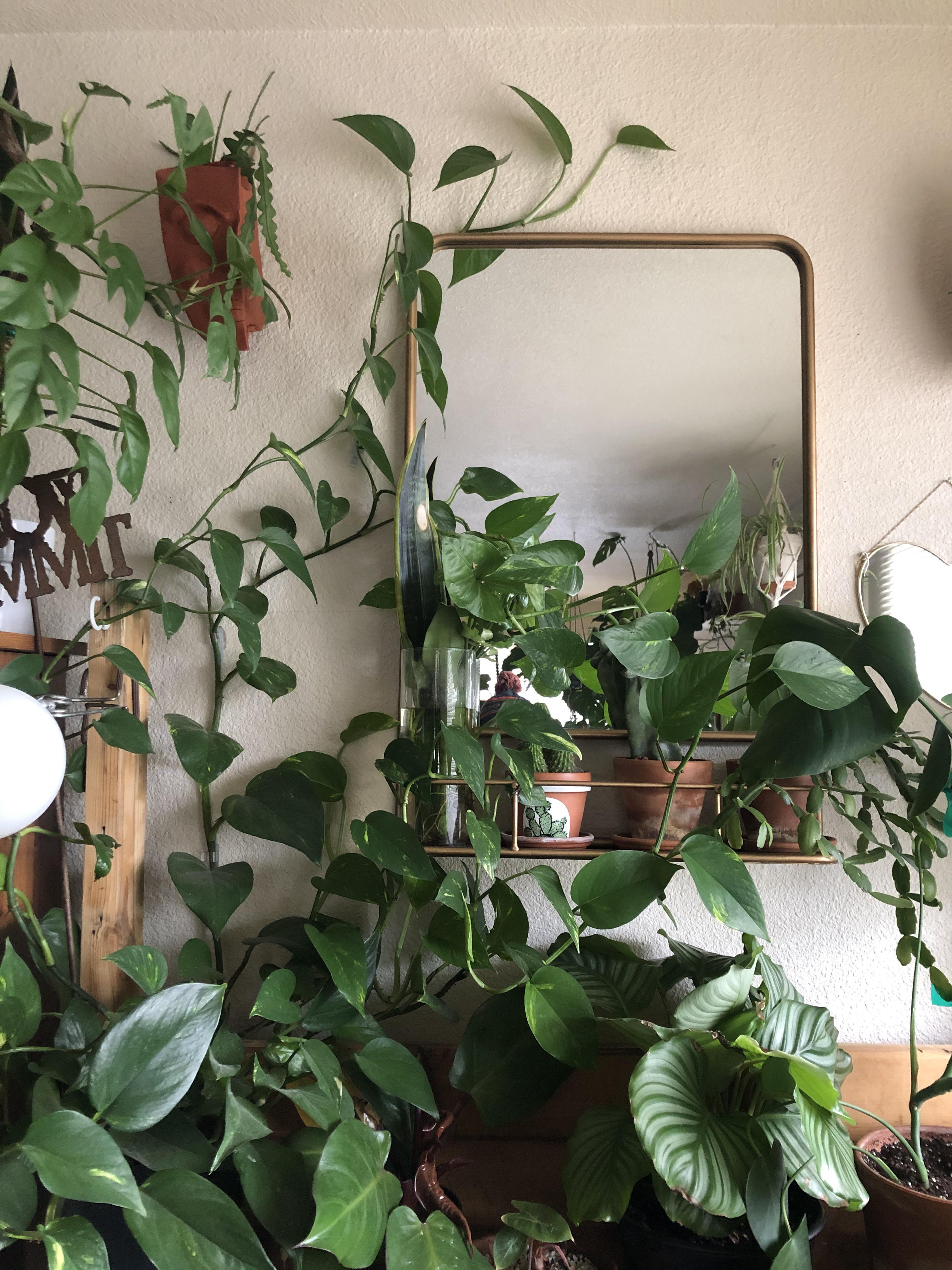 happy corner | Scrolller