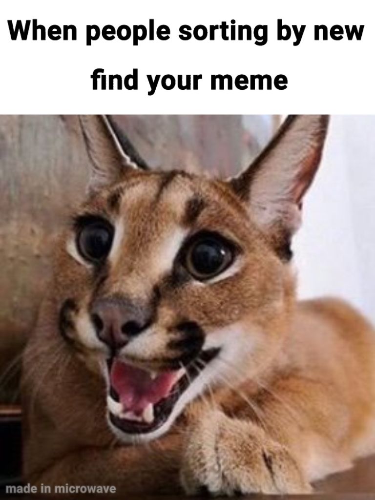 happy floppa | Scrolller