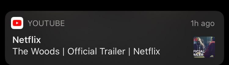 Happy for my boys reaching Netflix | Scrolller