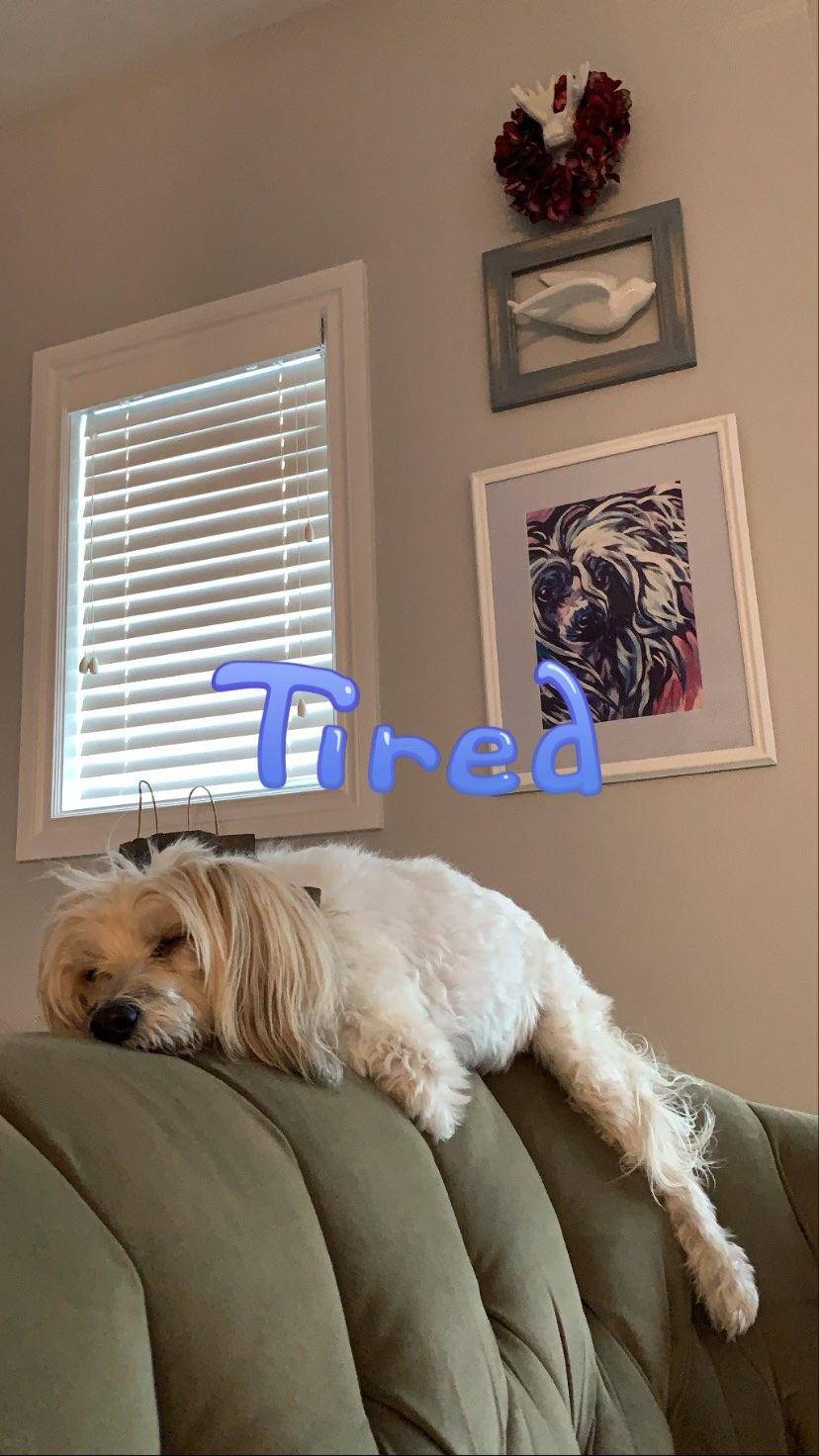 Happy Friday! Always napping 😴 | Scrolller