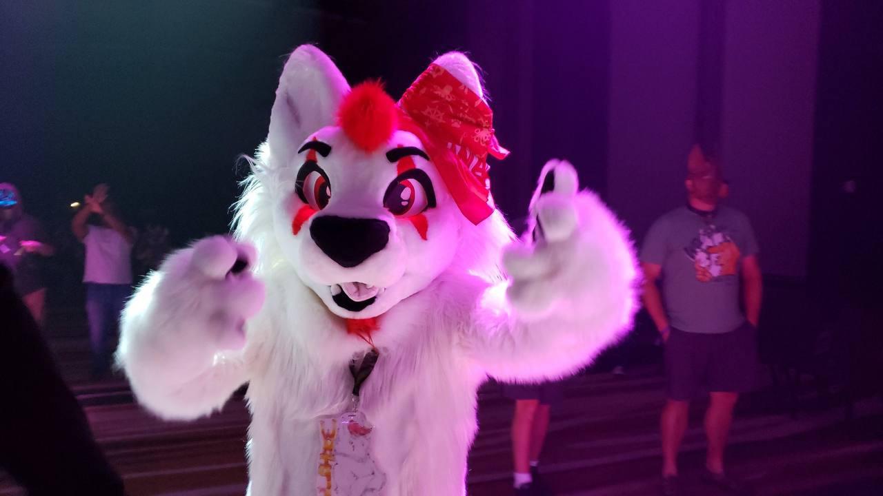 Happy Fursuit Friday! Come rave with this wolf! | Scrolller