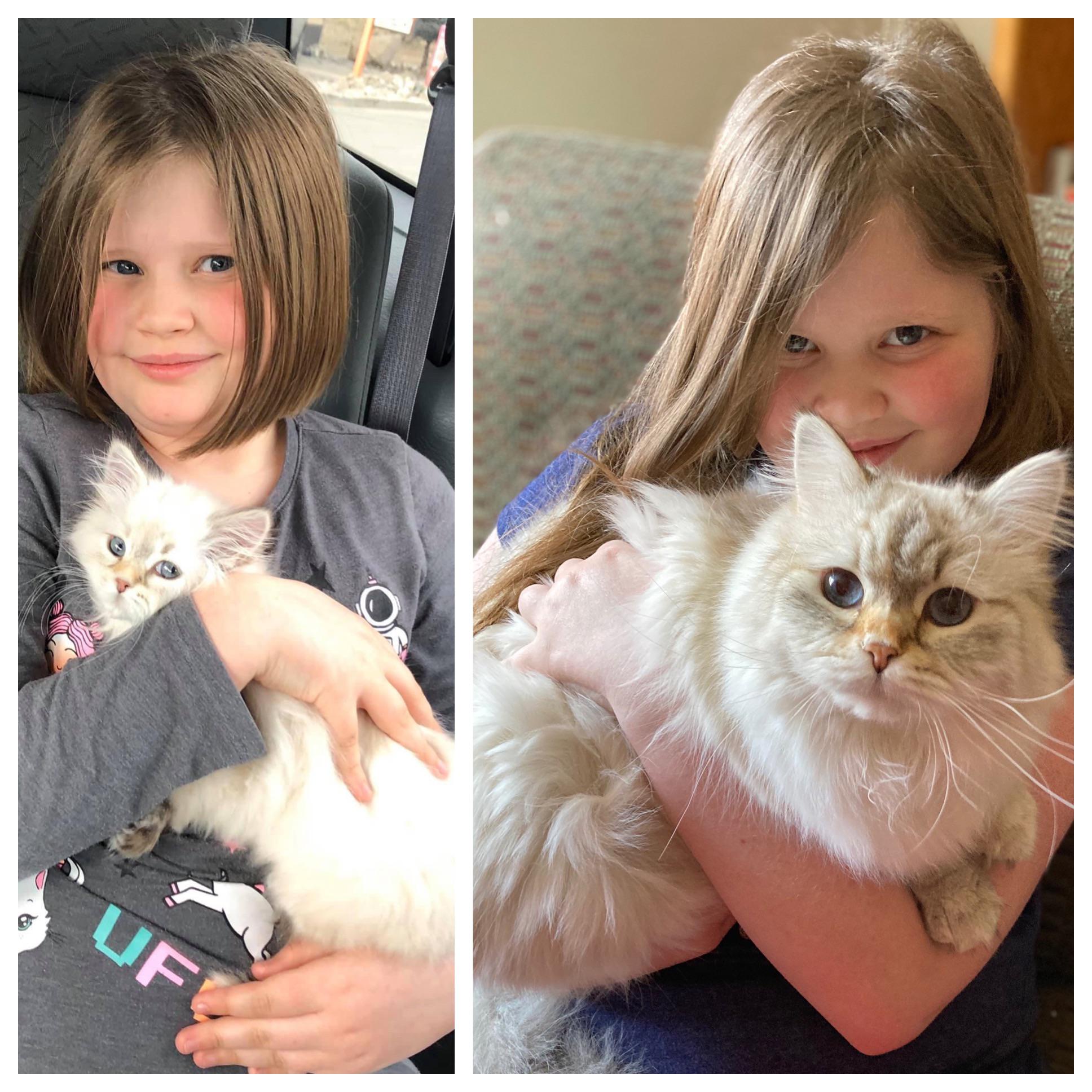 Happy Gotcha Day to Clover (and the reason for her name! ☘️) | Scrolller