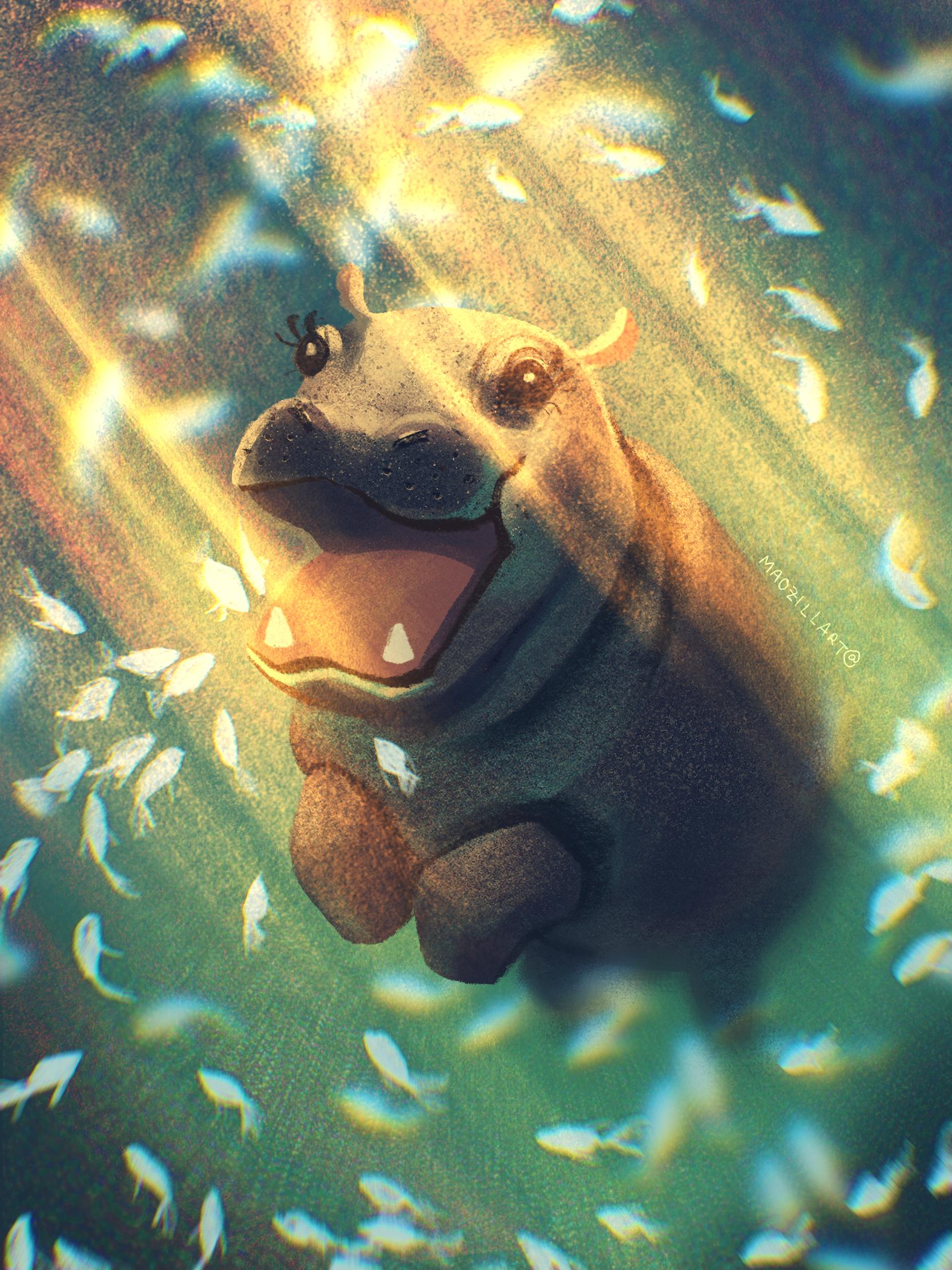 Happy Hippo | Scrolller