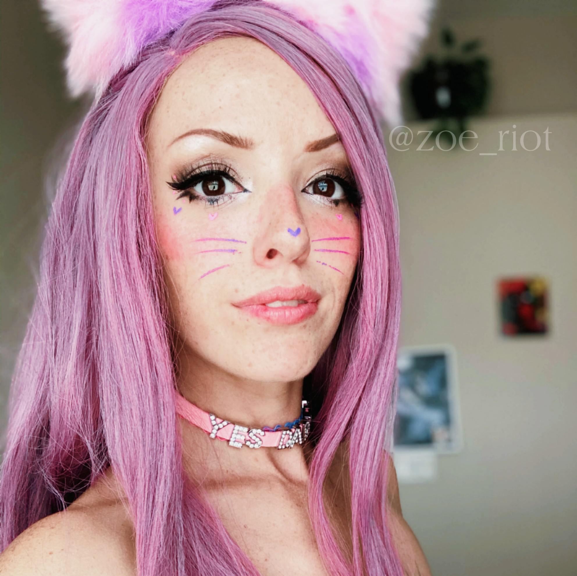 Happy kitty with a new collar 😜 | Scrolller