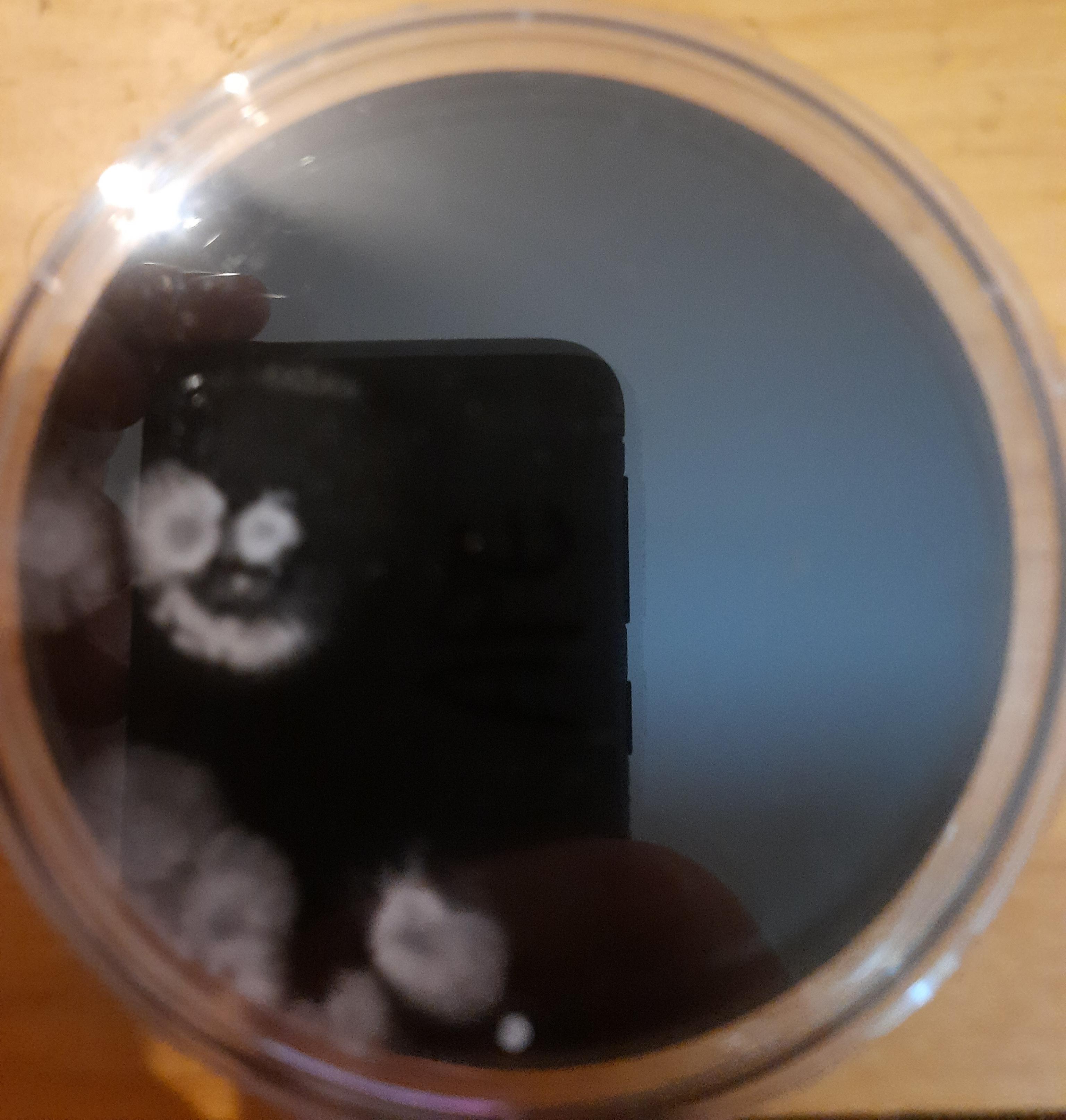 Happy mycelium! | Scrolller