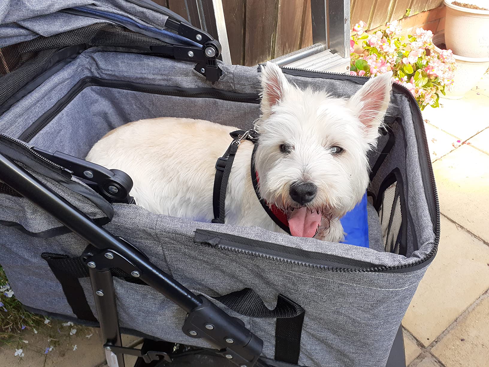 happy outing | Scrolller