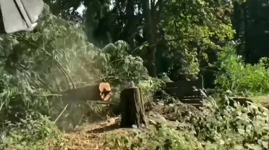 Hard nope. | Scrolller