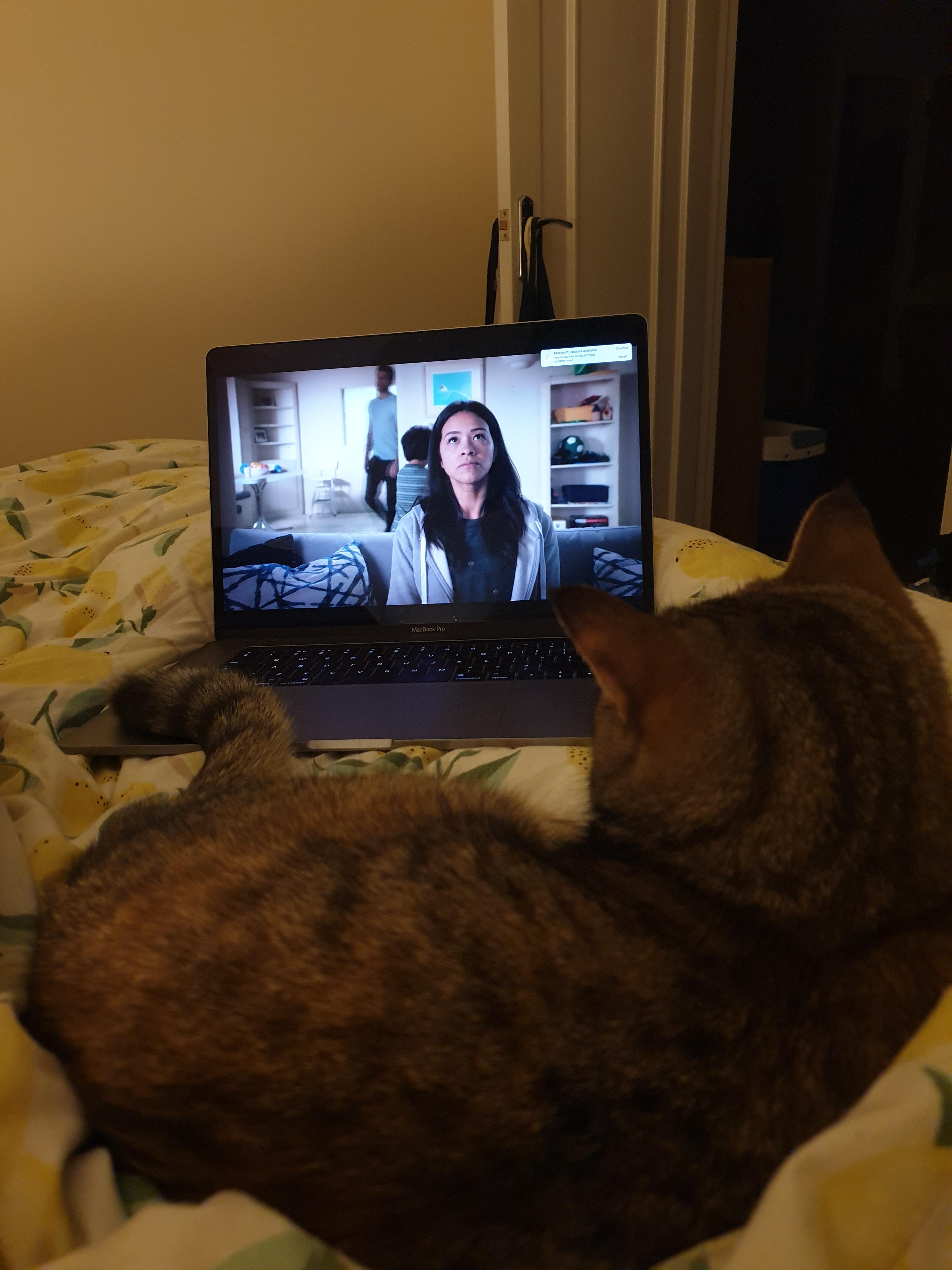 Harriet loves JTV | Scrolller