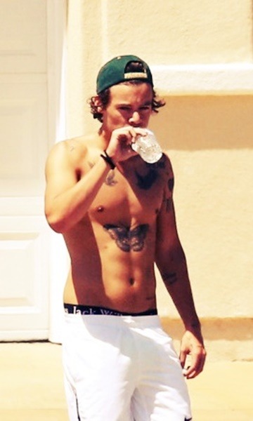 Harry Styles | Scrolller