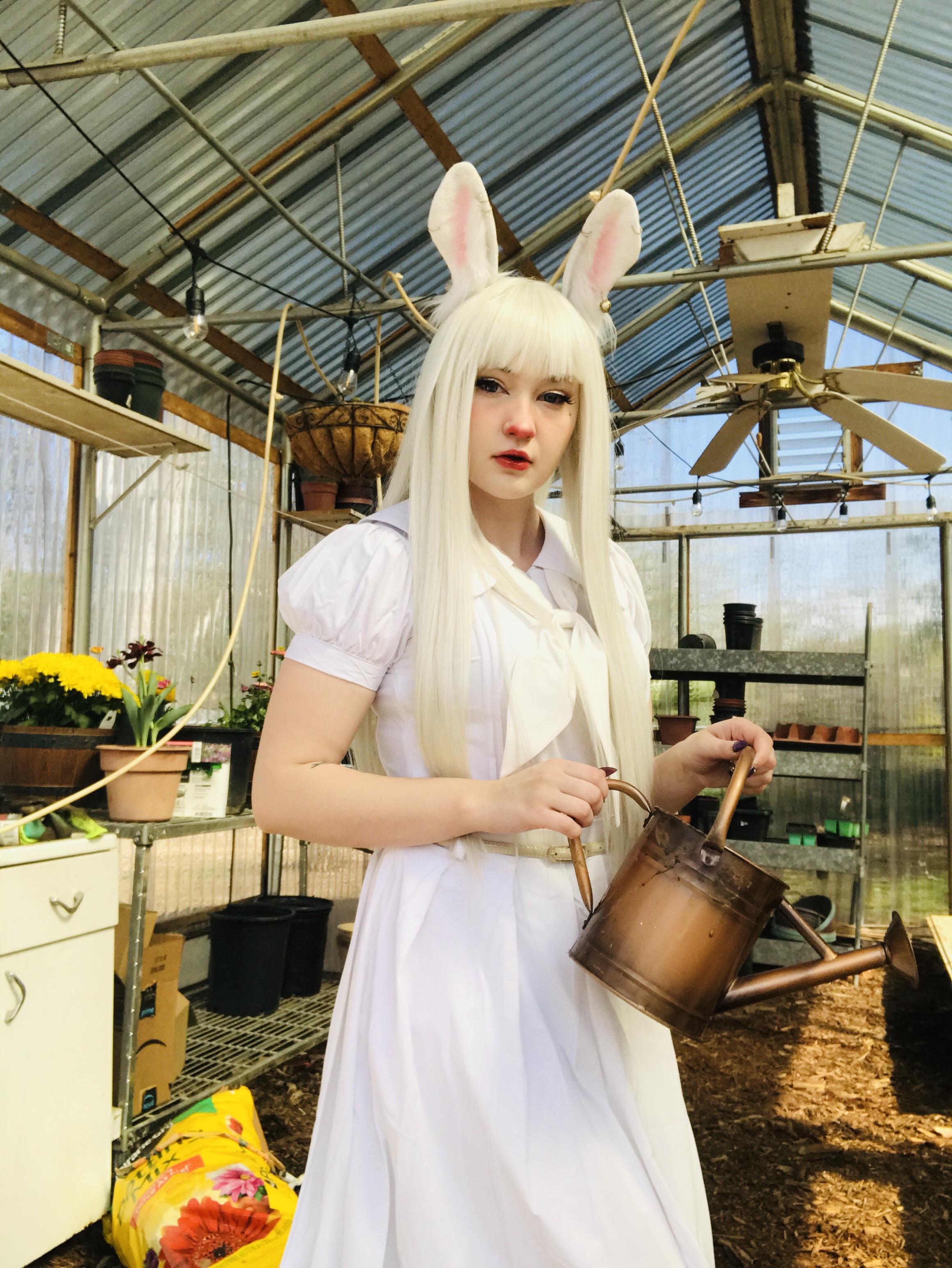 Haru by urinterent_waifu | Scrolller