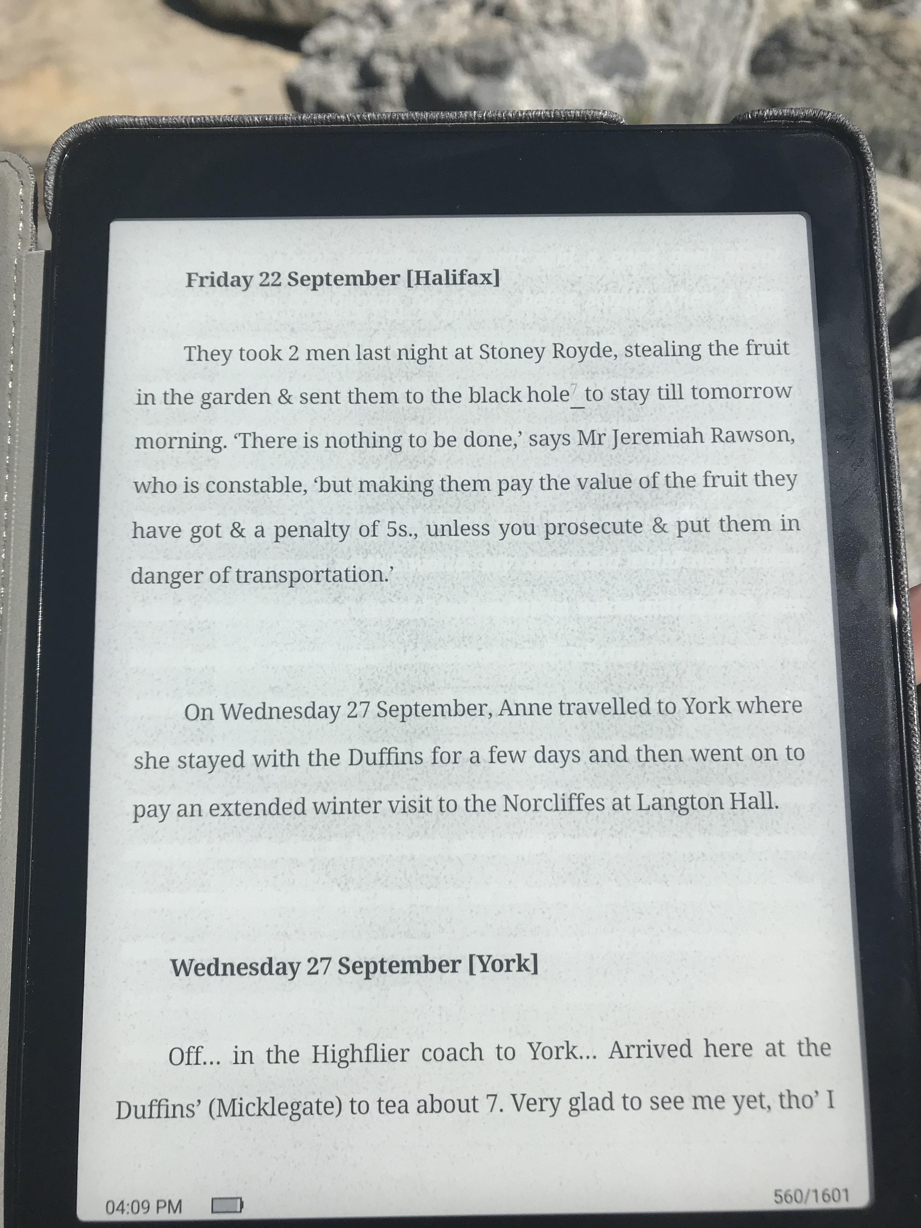 Has anyone experienced this weird screen chatter on Onyx Boox Nova Pro or know what it is ...