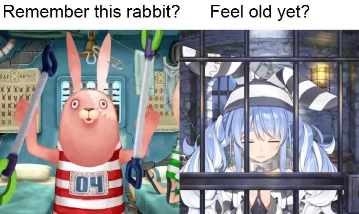 Has anyone seen this rabbit? | Scrolller