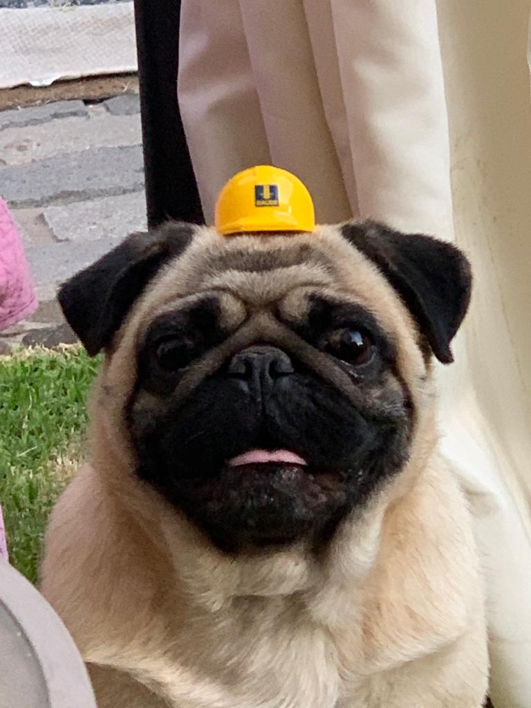 Does this count? | Scrolller