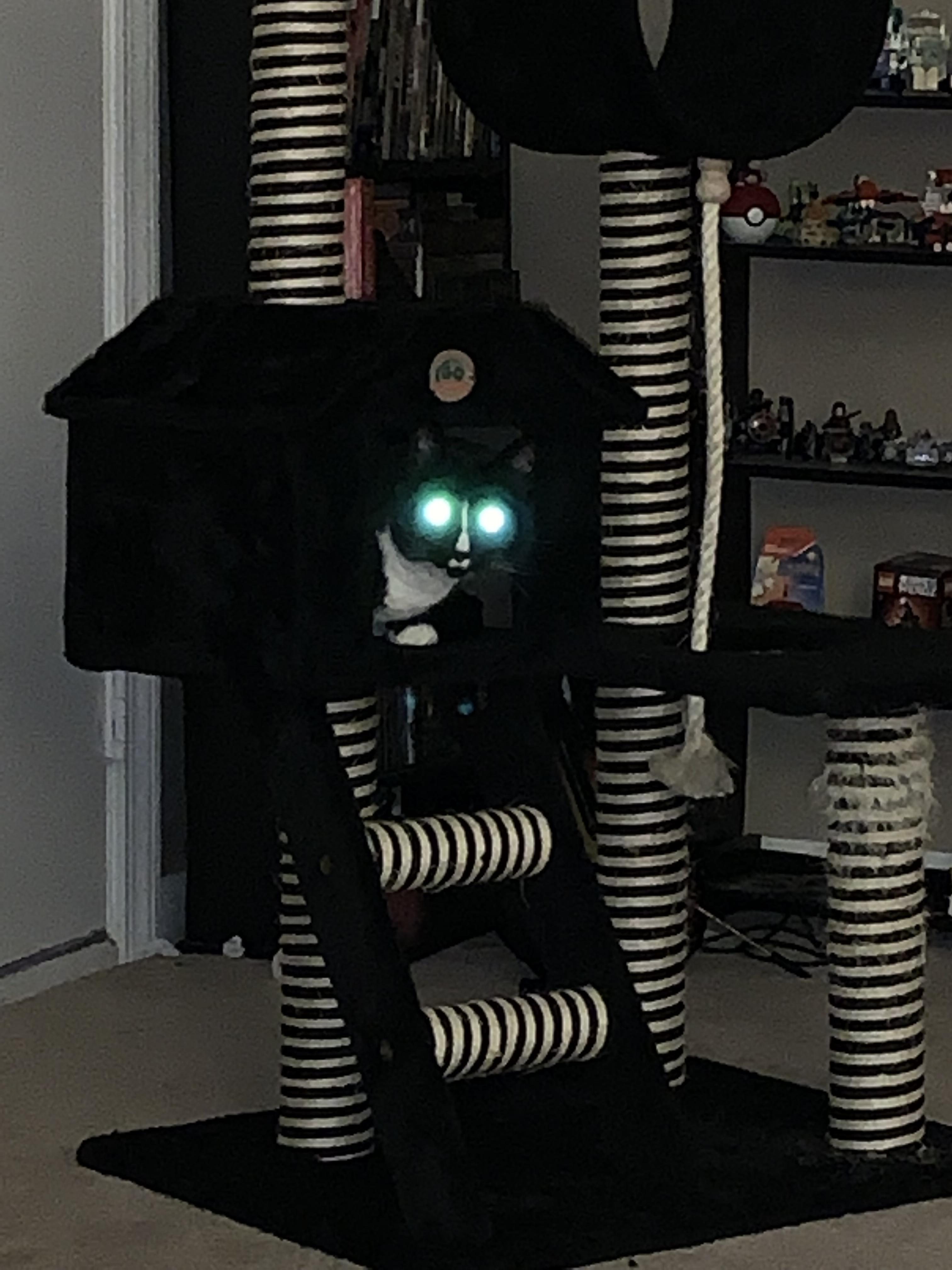 Haunted tree house | Scrolller